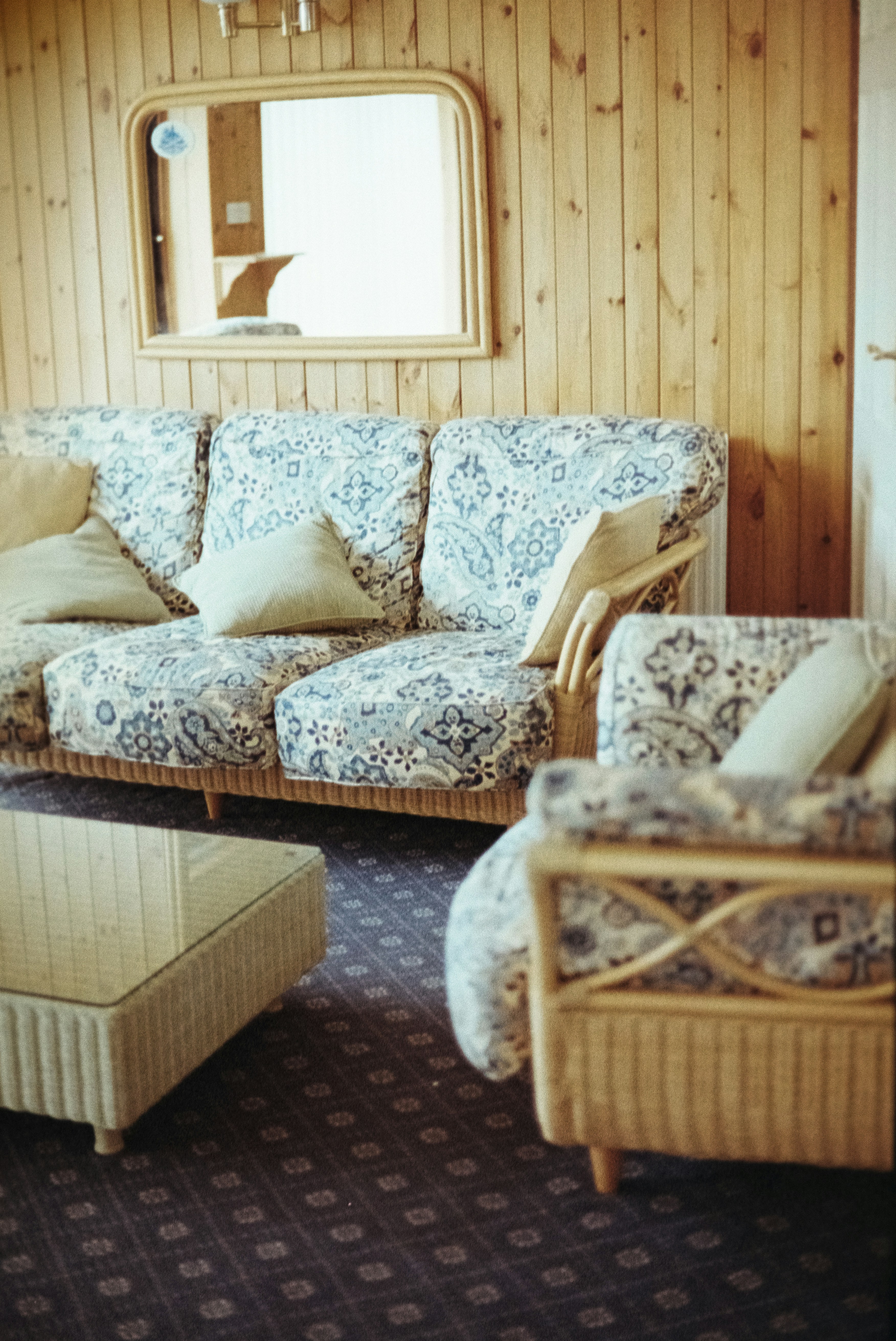 Blue Floral Wicker Lounge in a Sunlit Wood-Walled Living Room