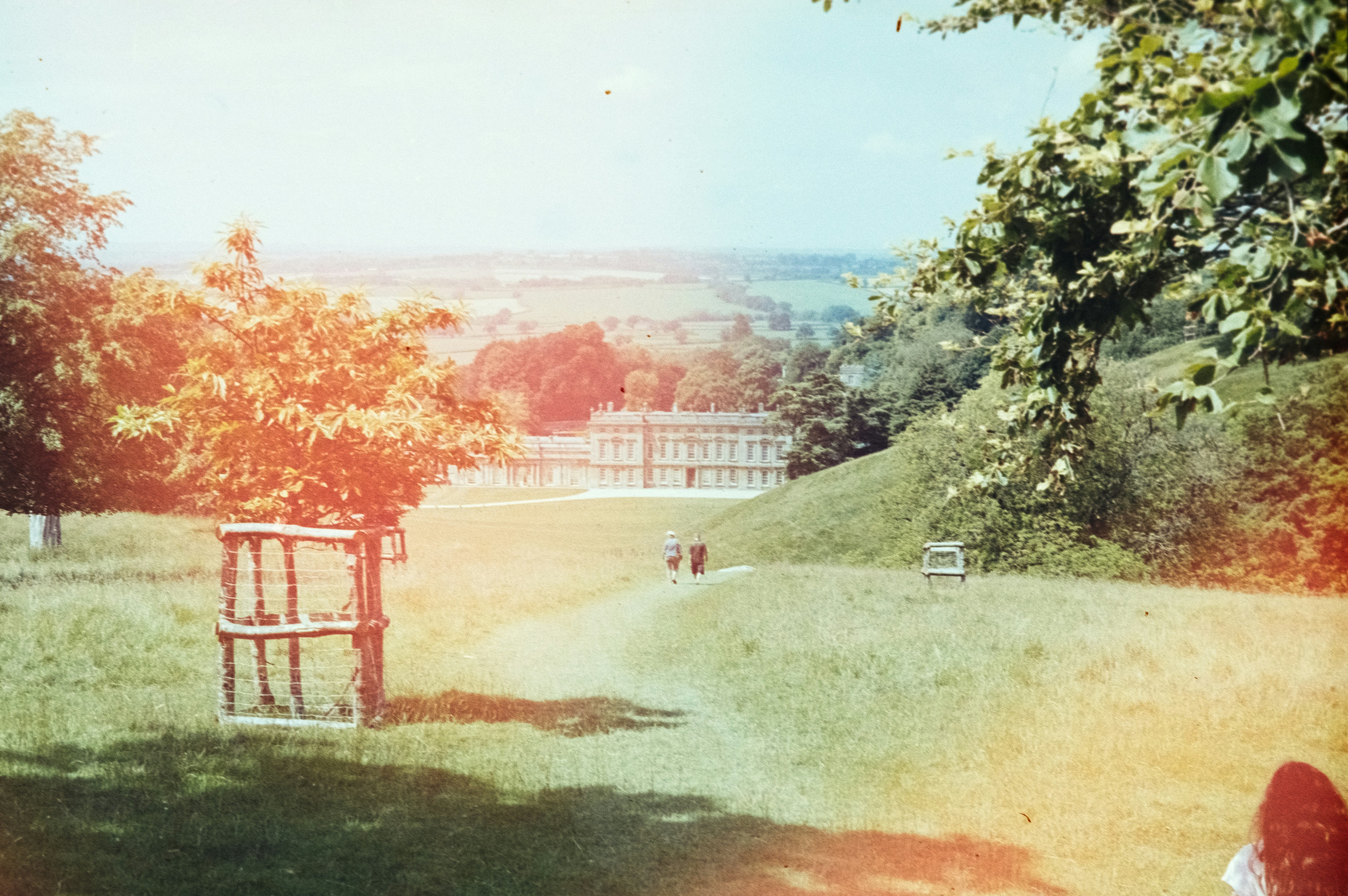 Sunlit Crest: A Quiet Park Scene Reaching Toward a Distant Estate