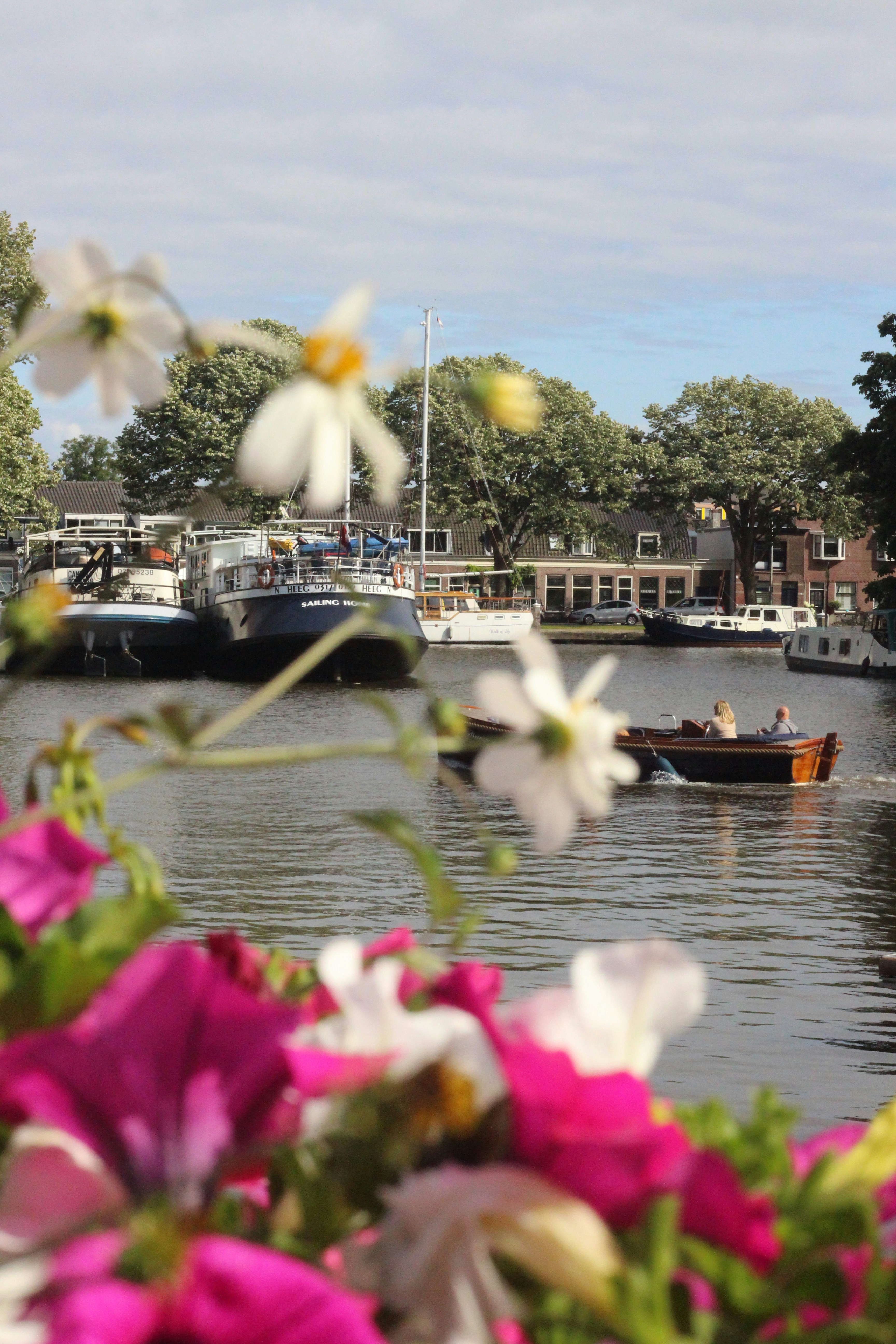 Front Garden Blooms Framing a Riverside Harbor Scene