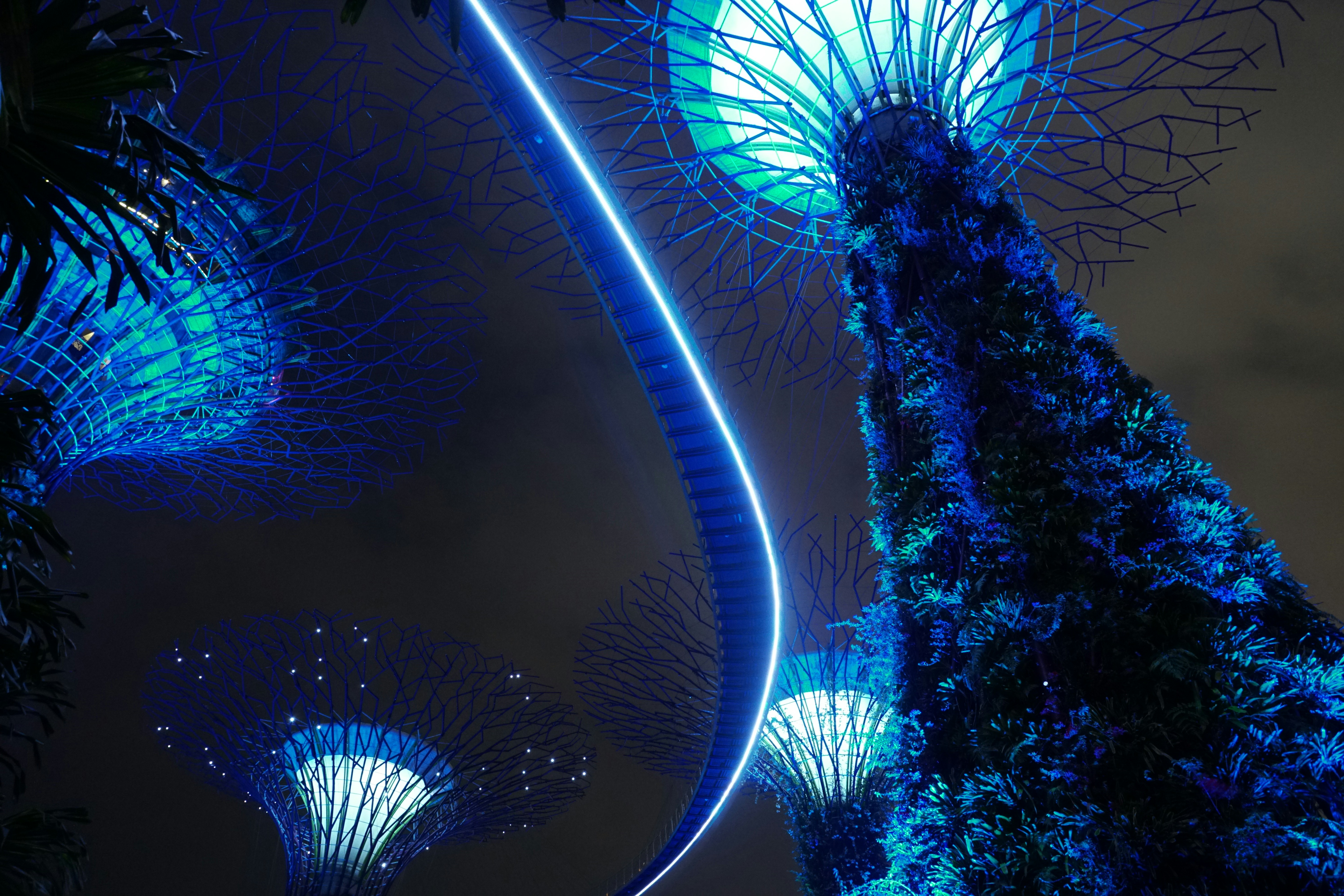 Blue street lights photo – Free Lighting Image on Unsplash