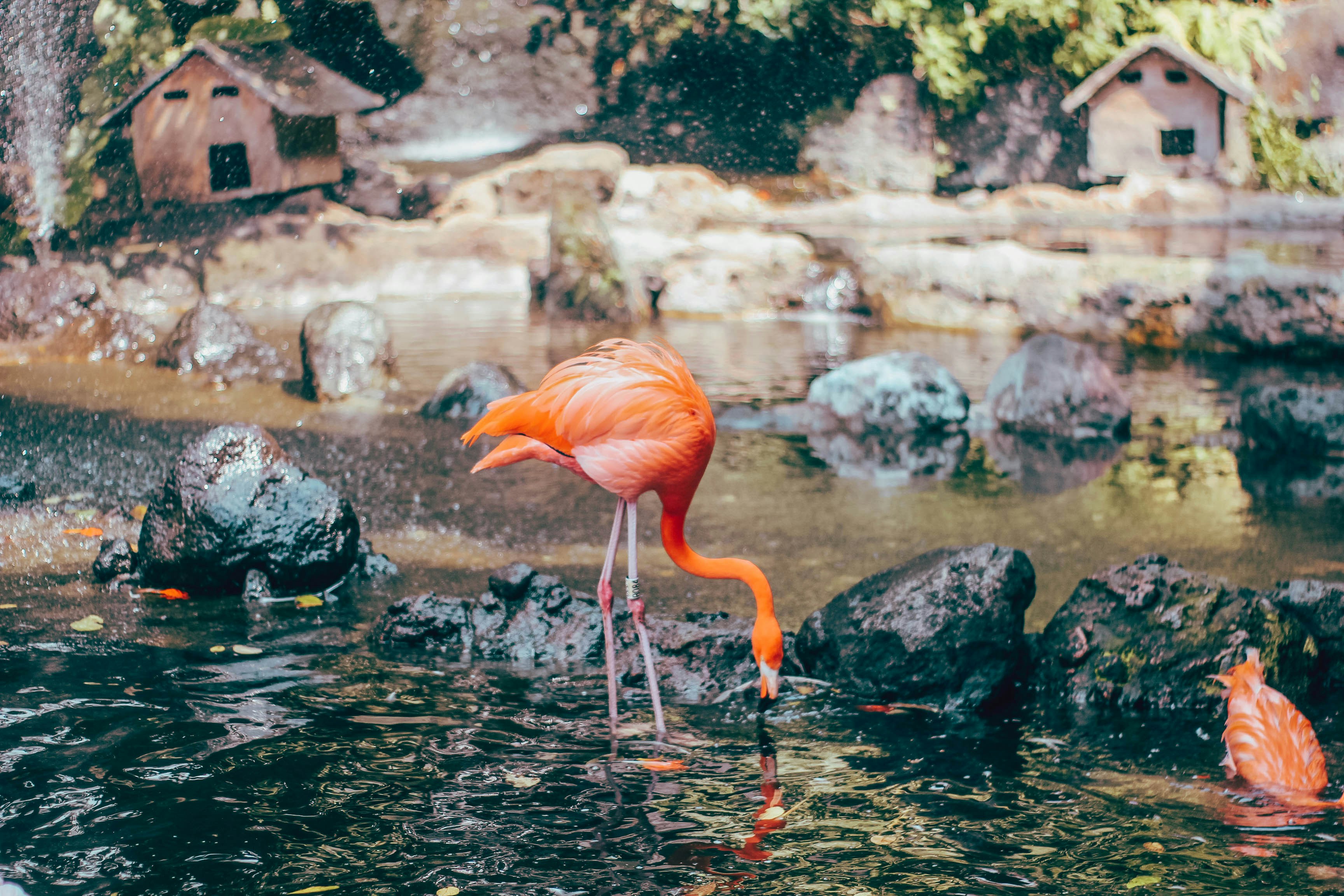 Ky Rizqi (@kyrizqi) | Unsplash Photo Community