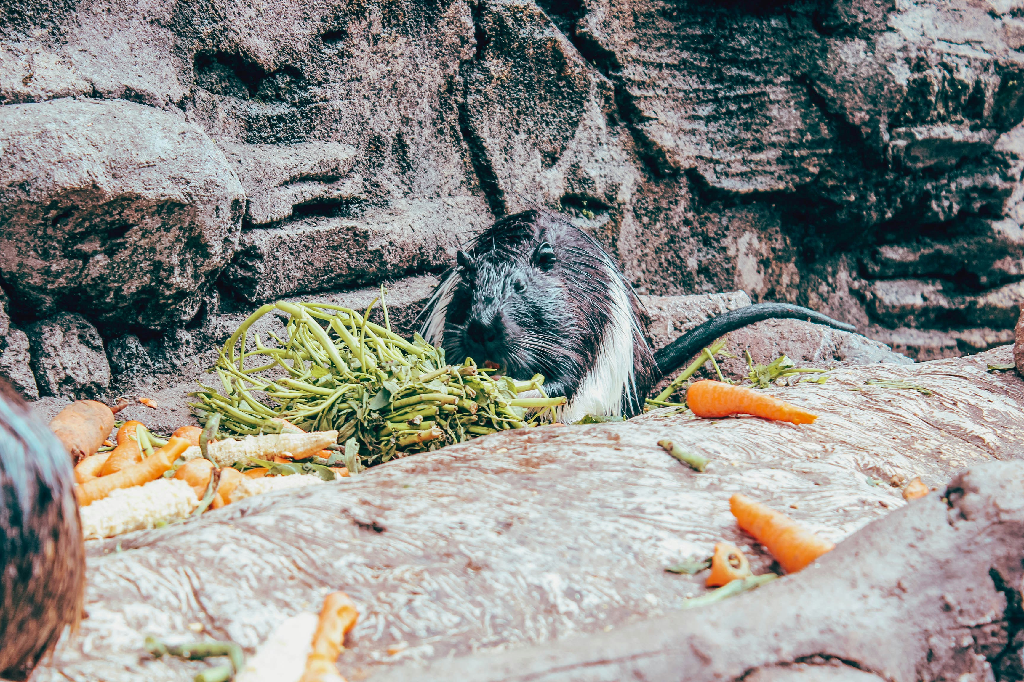 Ky Rizqi (@kyrizqi) | Unsplash Photo Community