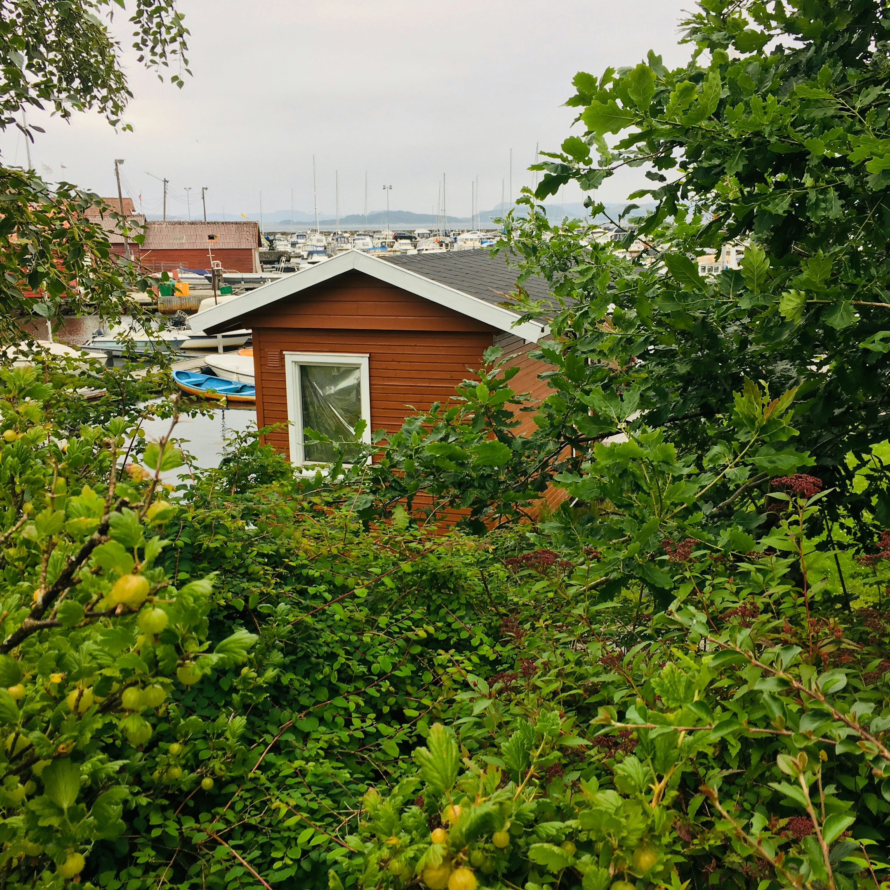 Red Cabin Amid Green Canopy Overlooking a Quiet Marina