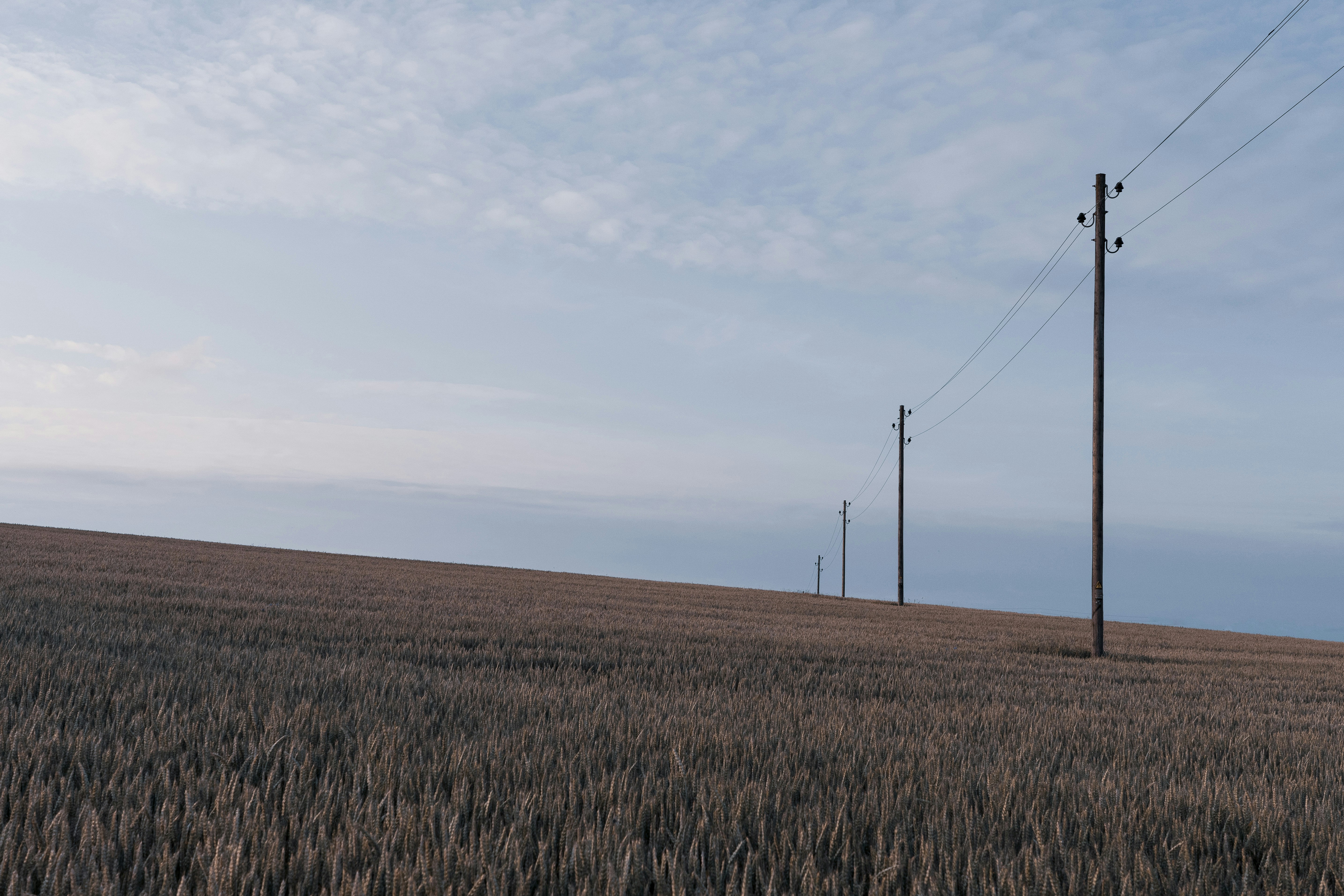 Black utility post photo – Free Grey Image on Unsplash