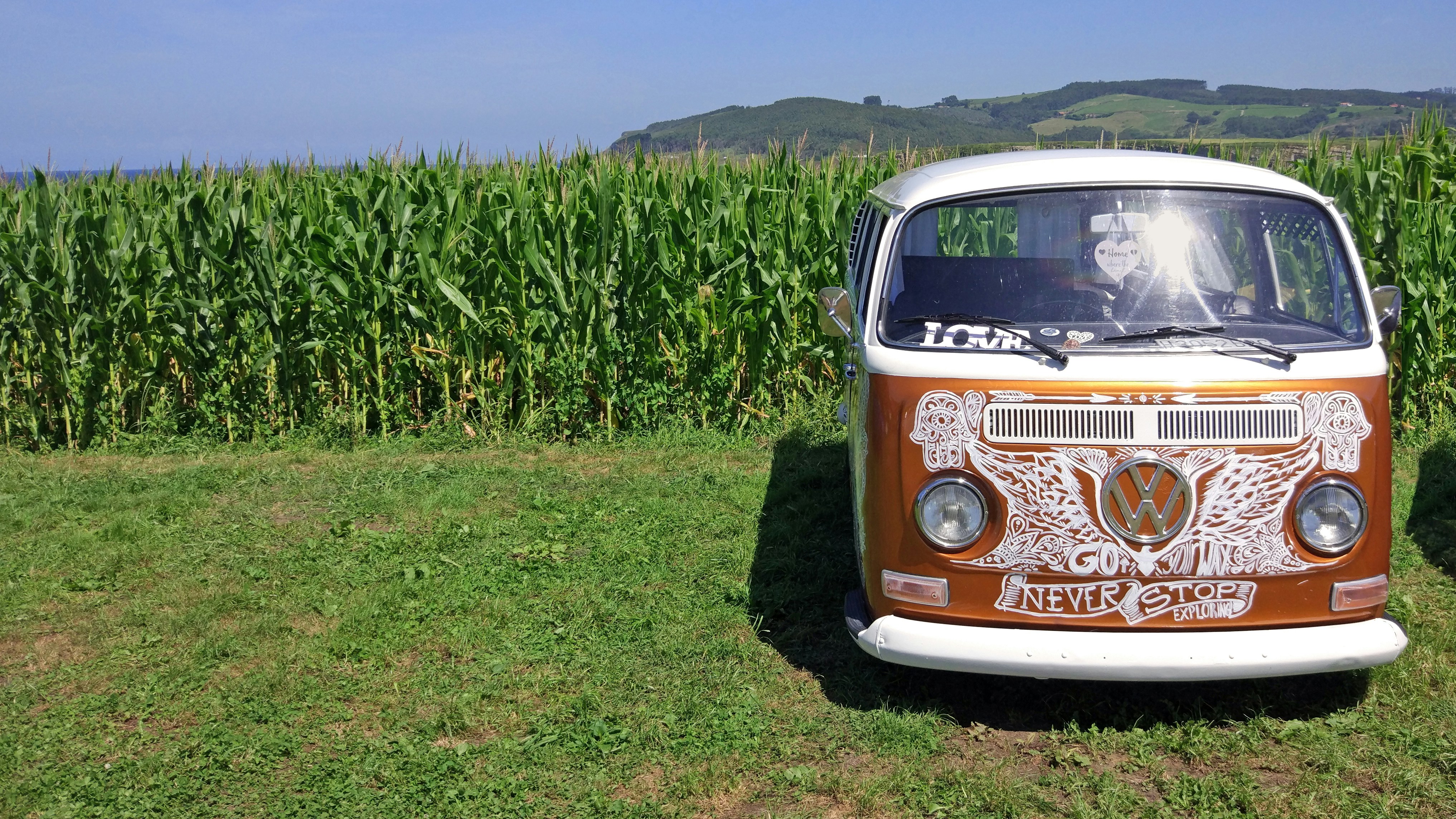Vintage Volkswagen van parked on grass beside a tall cornfield under a clear blue sky.