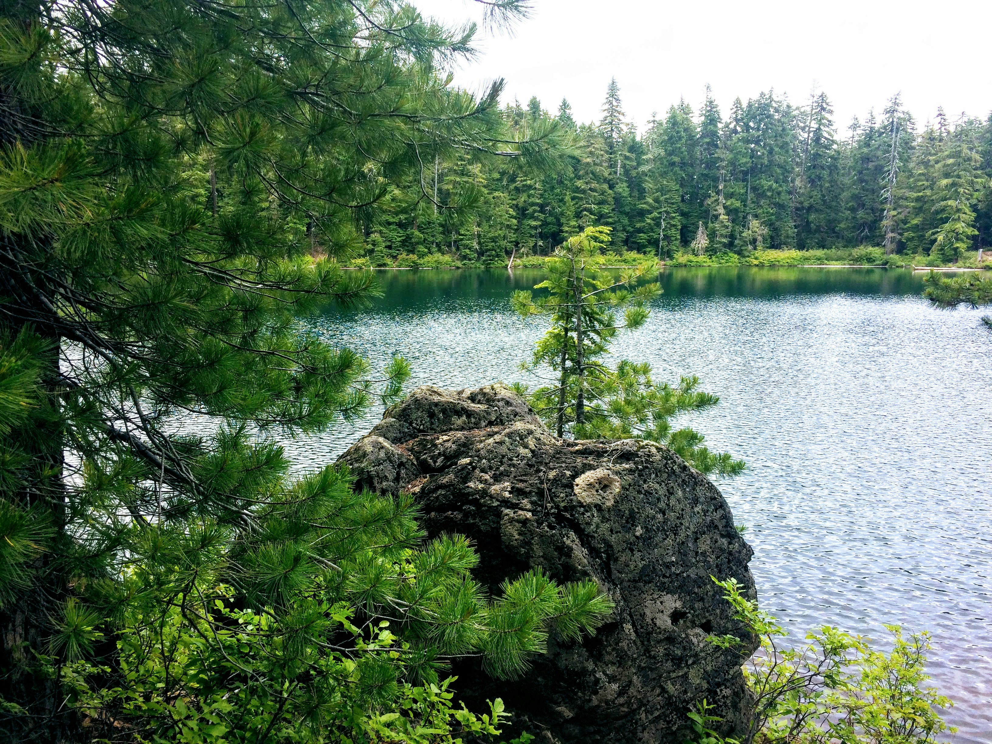Lush greenery frames a tranquil lake, with a prominent rock and a small tree in the foreground, reflecting the calmness of the scene.