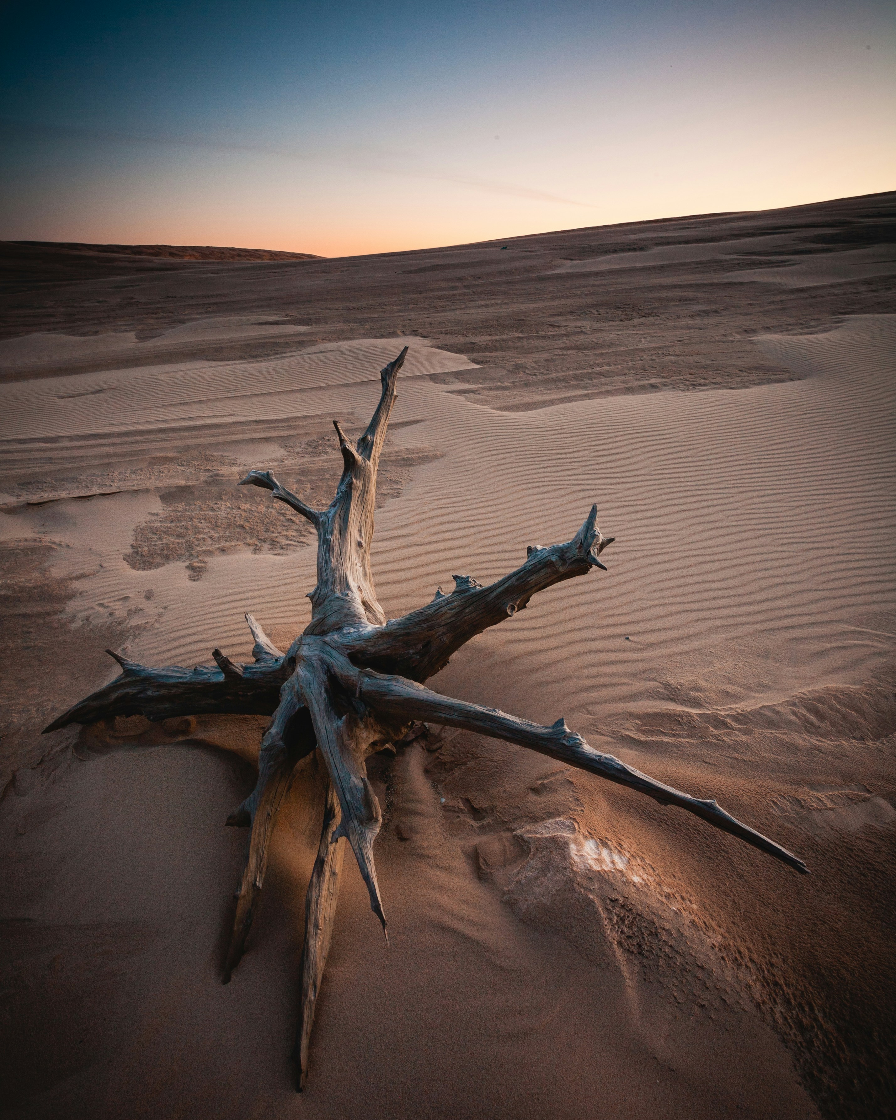 Using Cypress in GitLab Ci - LcX