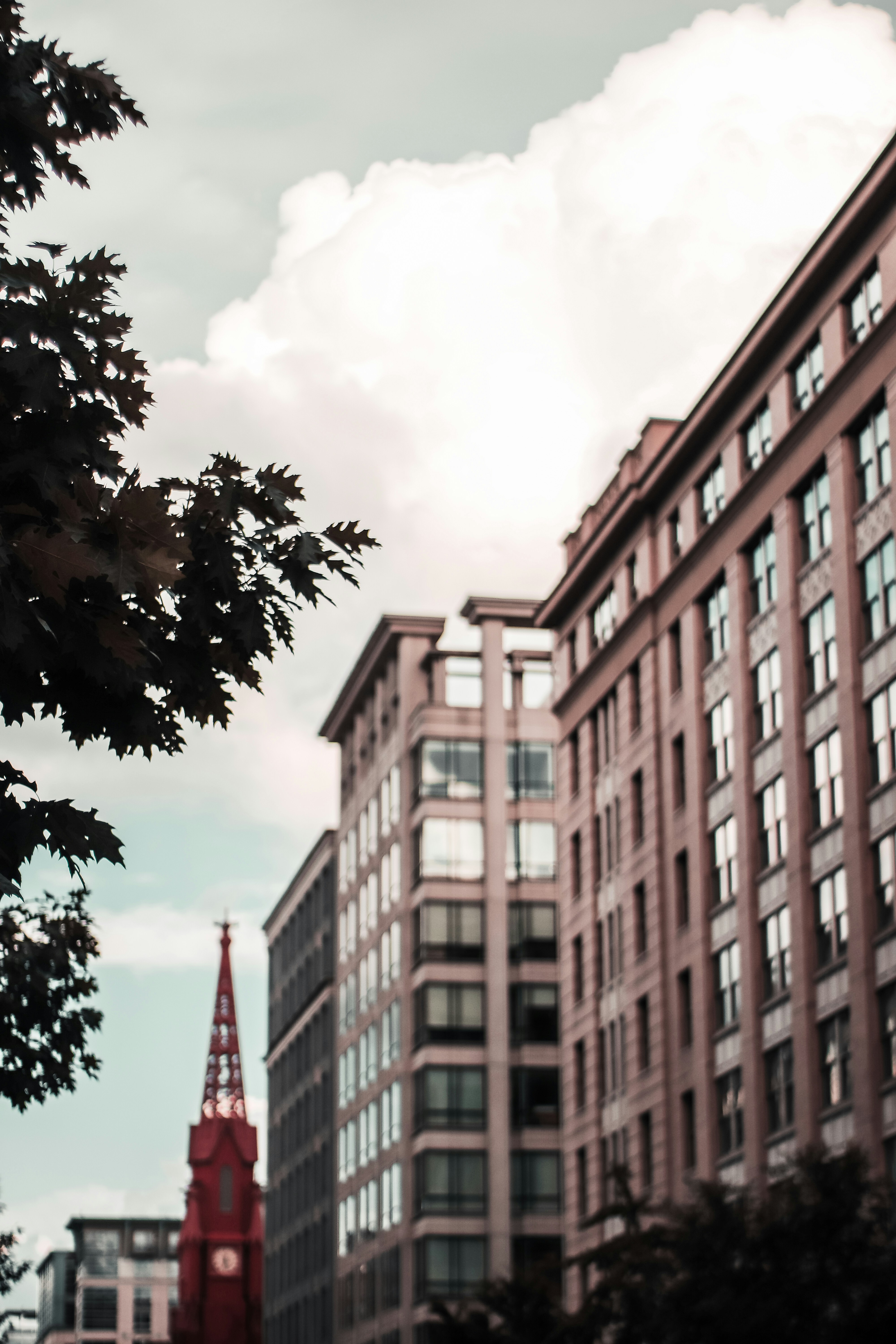 Grey concrete building surrounded by trees photo – Free City center ...