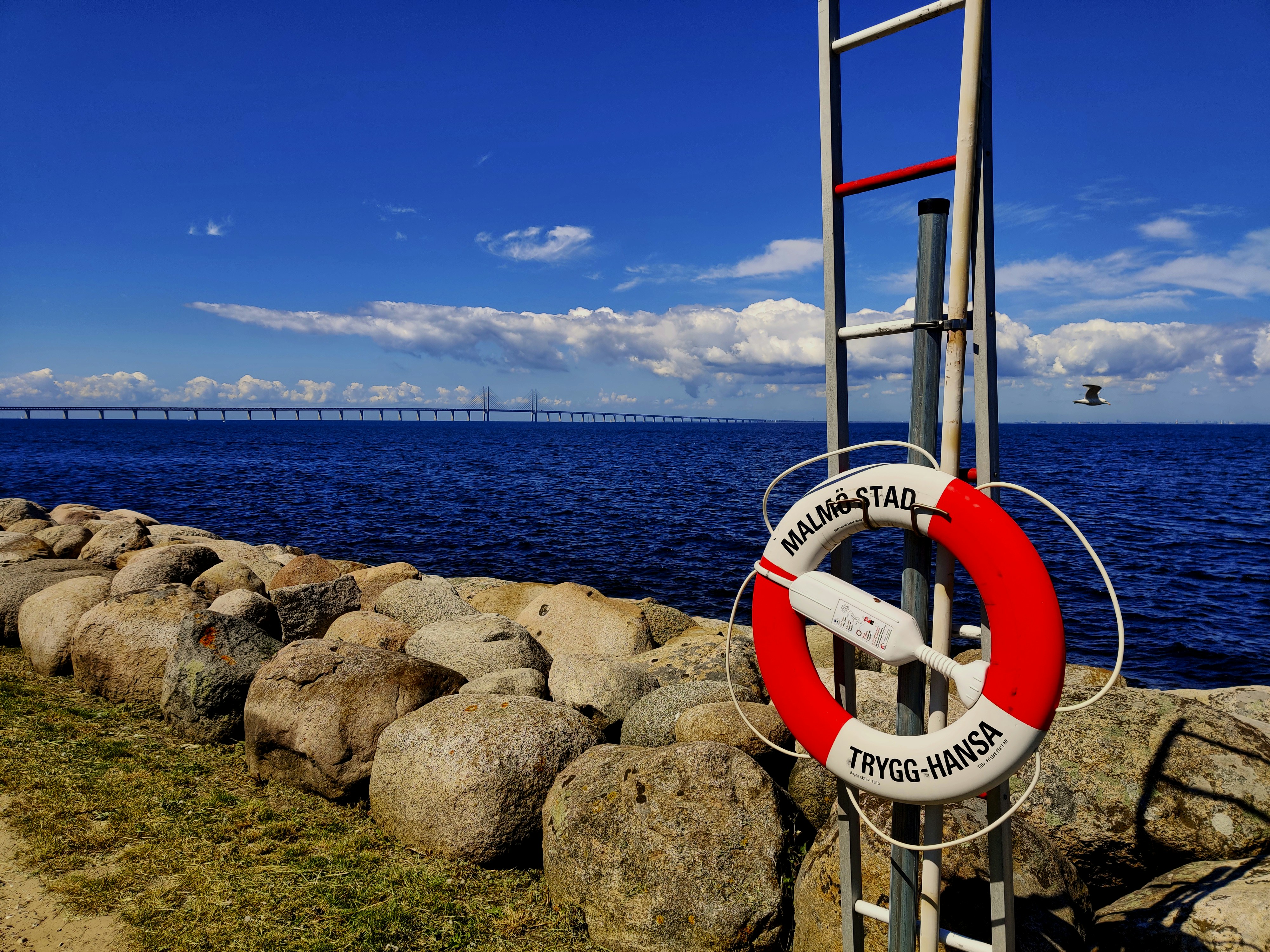 Red and white lifebuoy attached to a metal ladder beside a rocky shoreline under a clear blue sky.