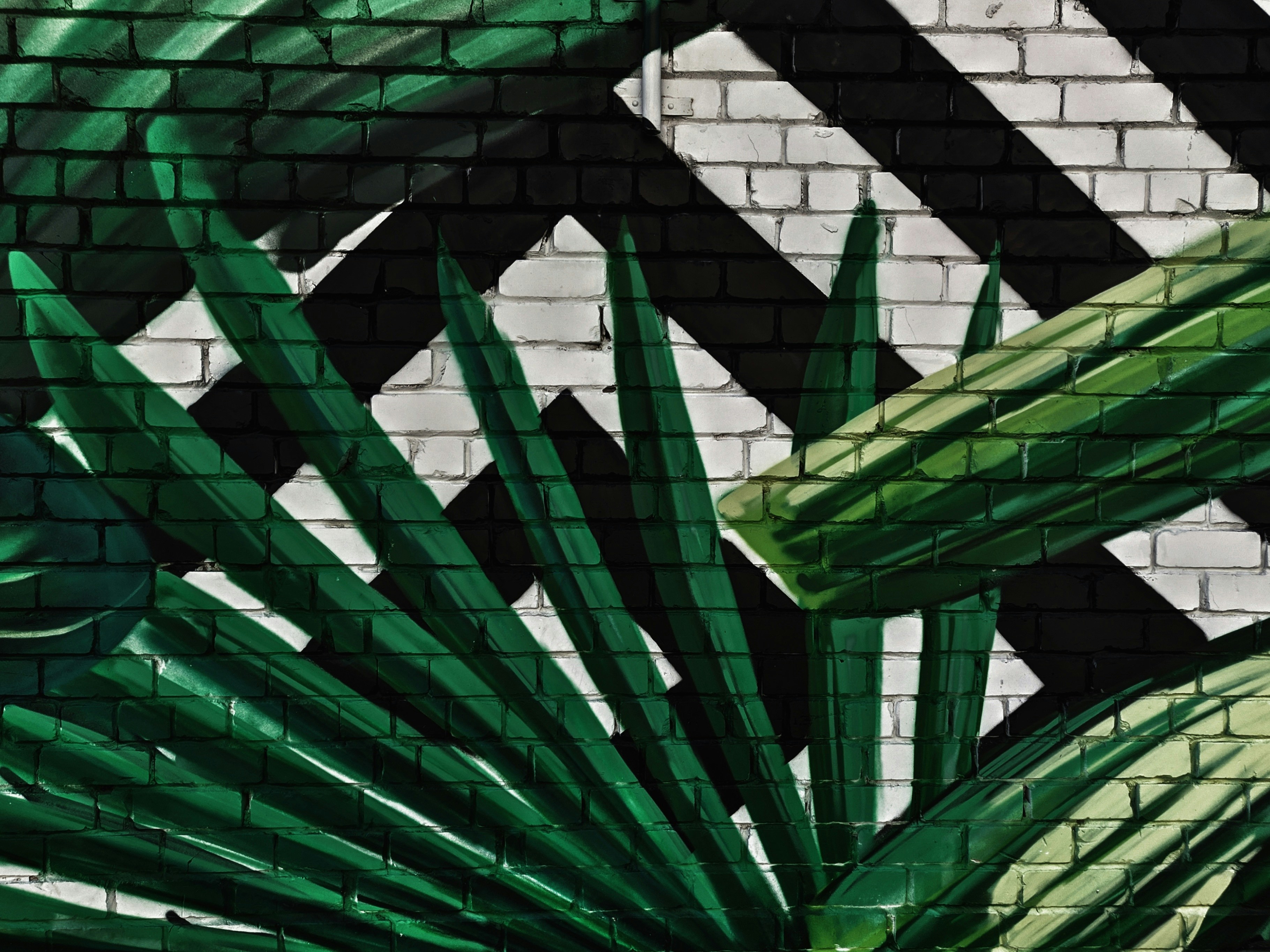Graffiti mural on a brick wall blends geometric black-and-white patterns with lush palm fronds. The composition emphasizes contrast between natural and urban motifs.