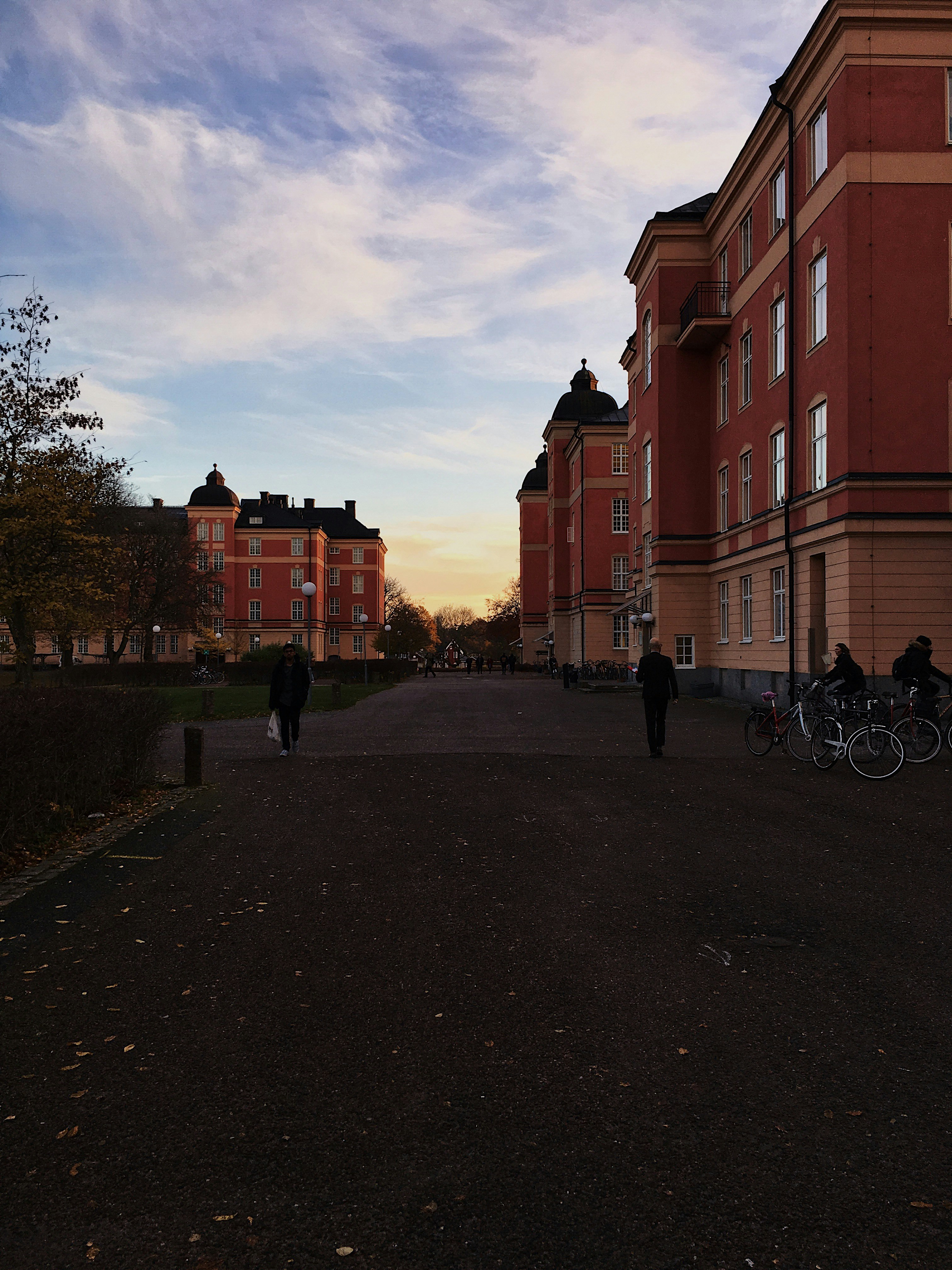 Computer Science vs. ITC - What's the Difference? | This vs. That