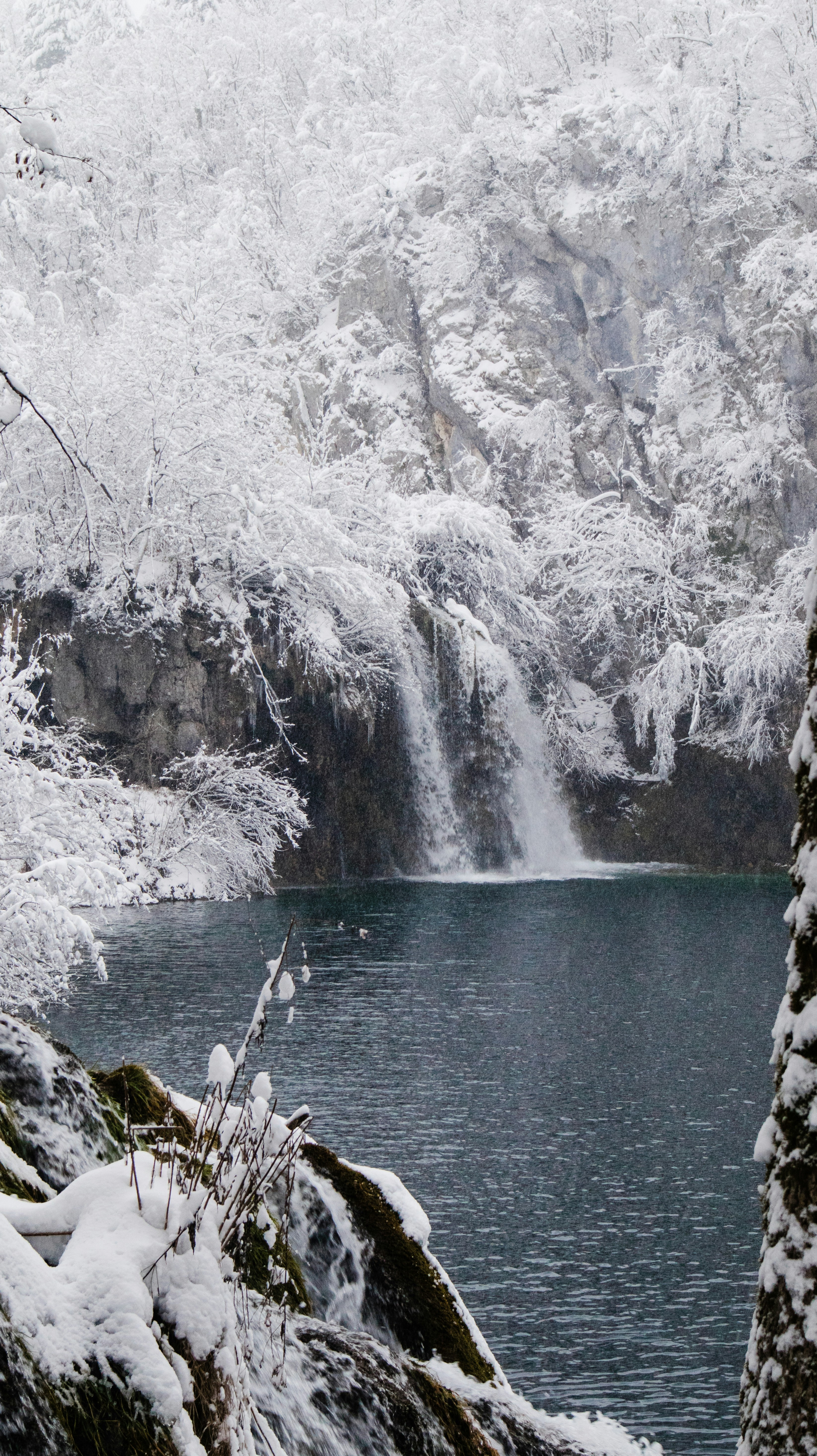 The Silent Cascade: Snowbound Trees Framing a Winter Waterfall