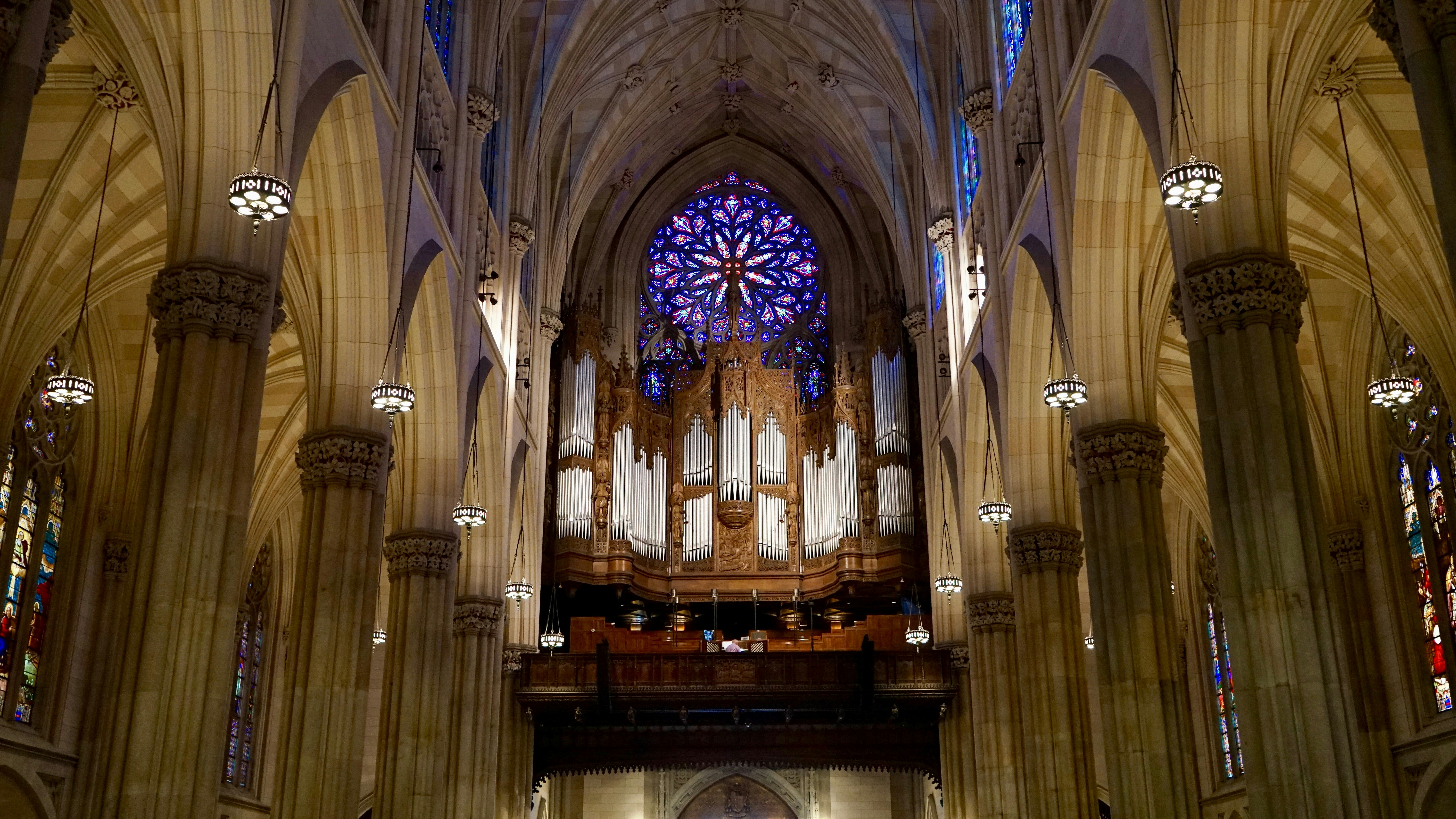 Stone Symphony: Centered Rose Window Illuminates the Cathedral Organ