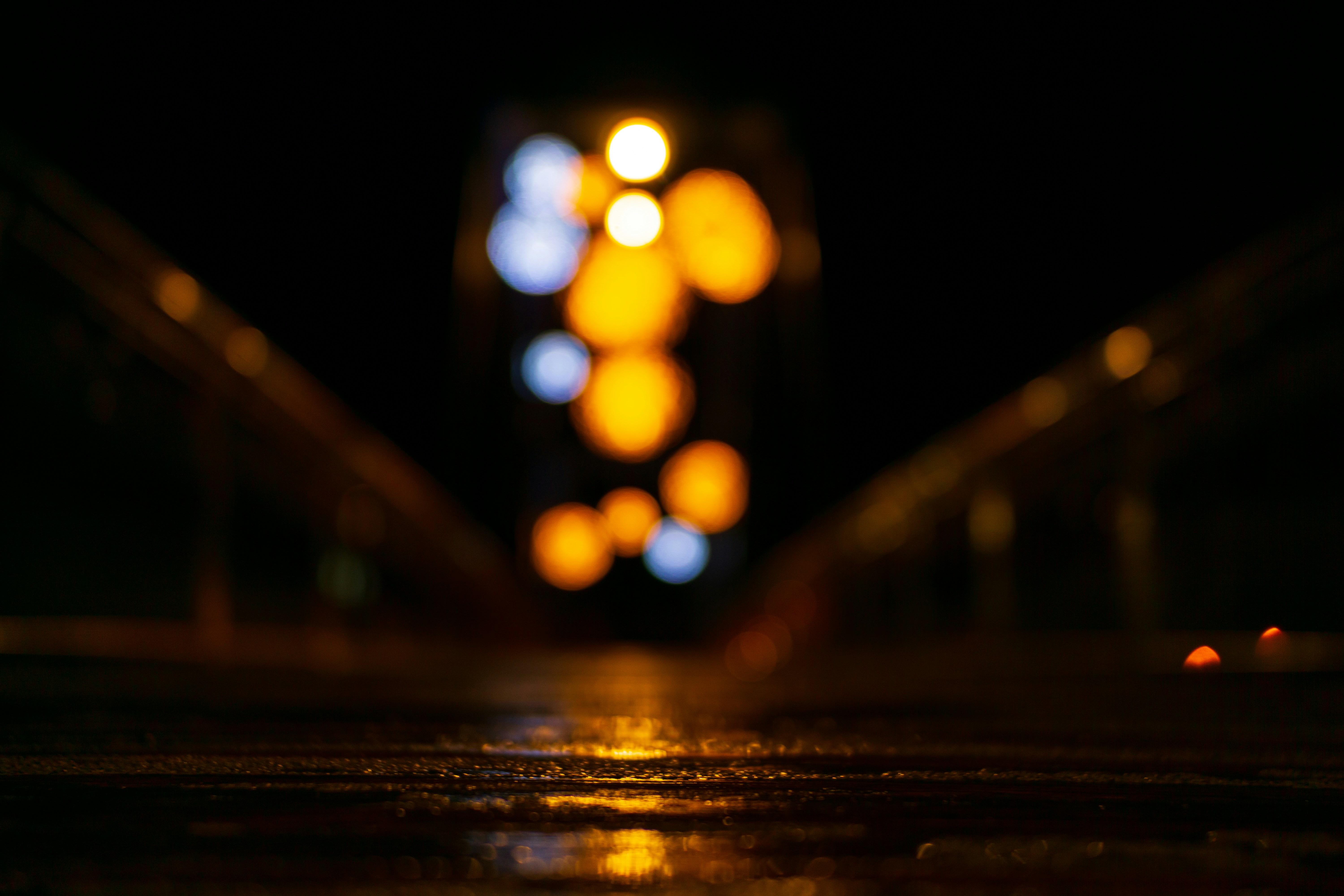 Orange Orbs Across a Rain-Wet Boardwalk