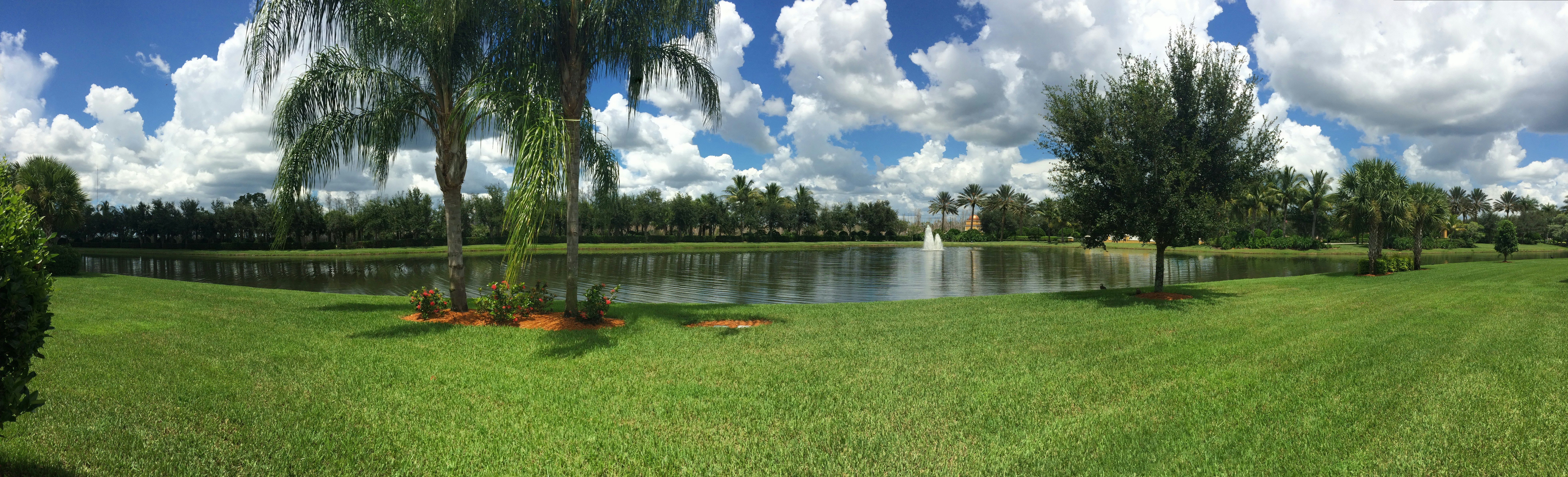 Lush green landscape with palm trees and a tranquil pond under a blue sky filled with fluffy clouds.