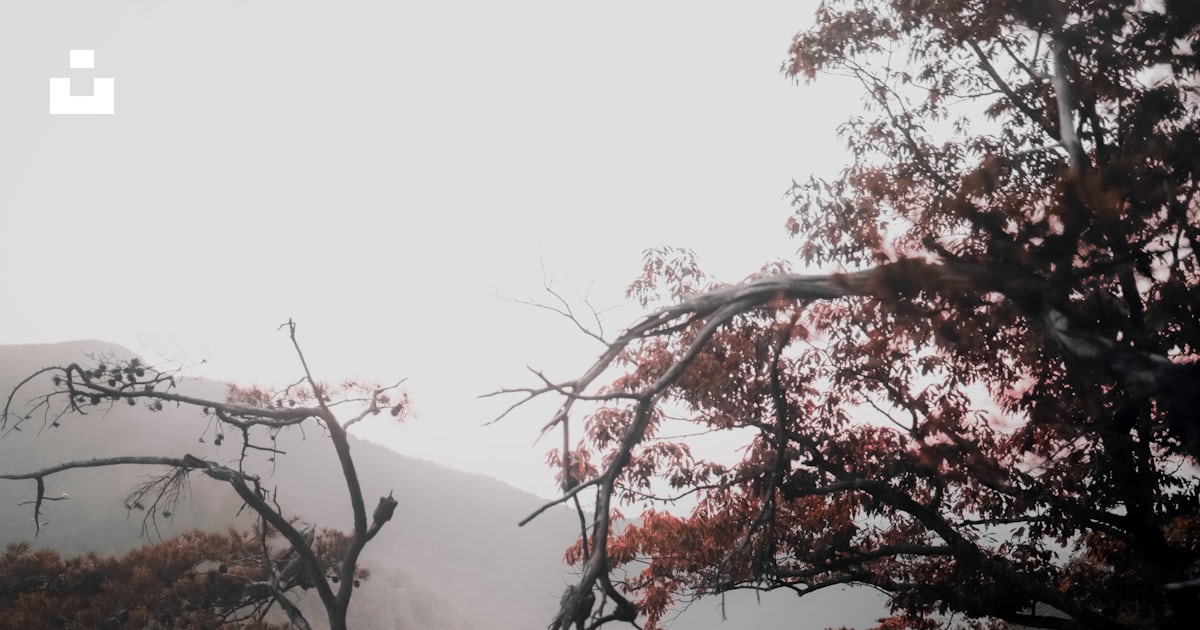 Hombre De Pie En El Acantilado Foto Imagen De Gris Gratuita En Unsplash