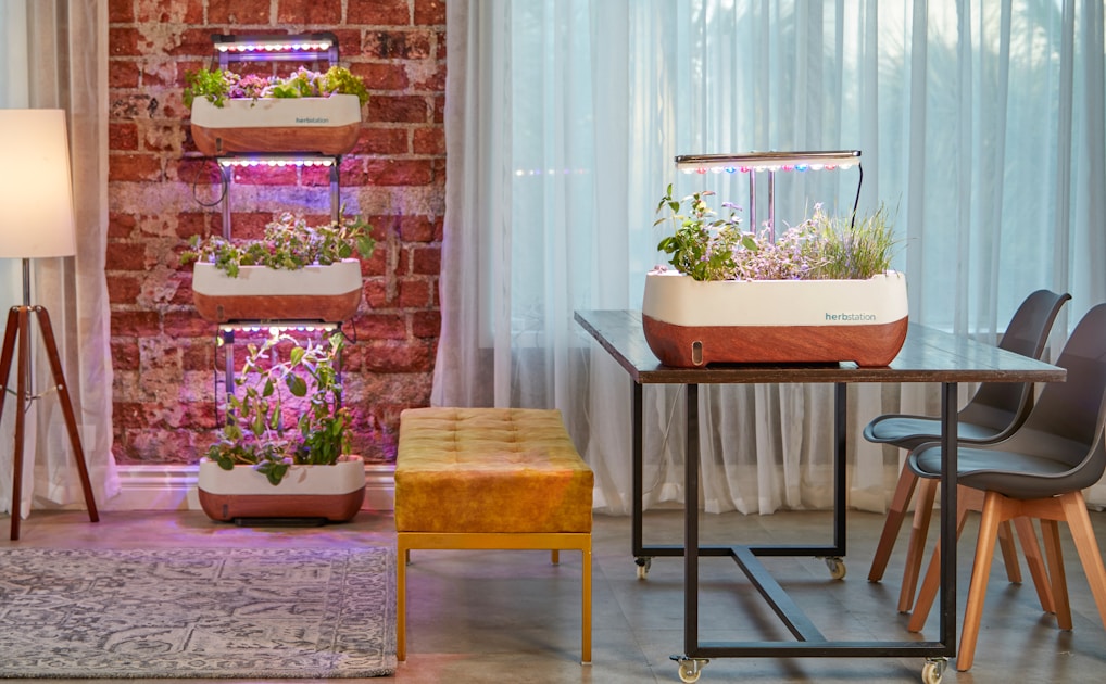 what-s-the-best-compact-home-hydroponics-indoor-gardening-systems-in