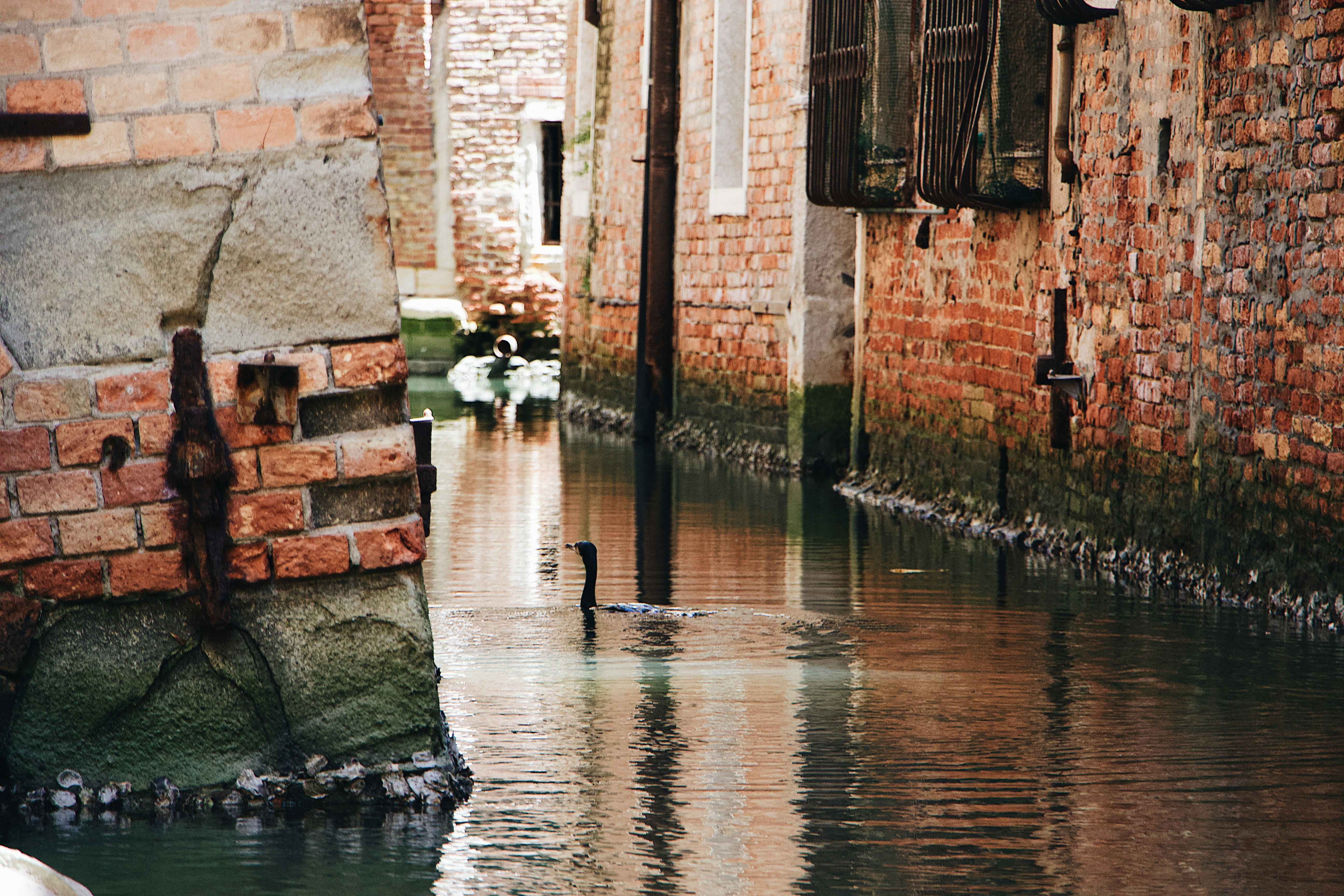 Distant Figure at the End of a Brick-Walled Canal