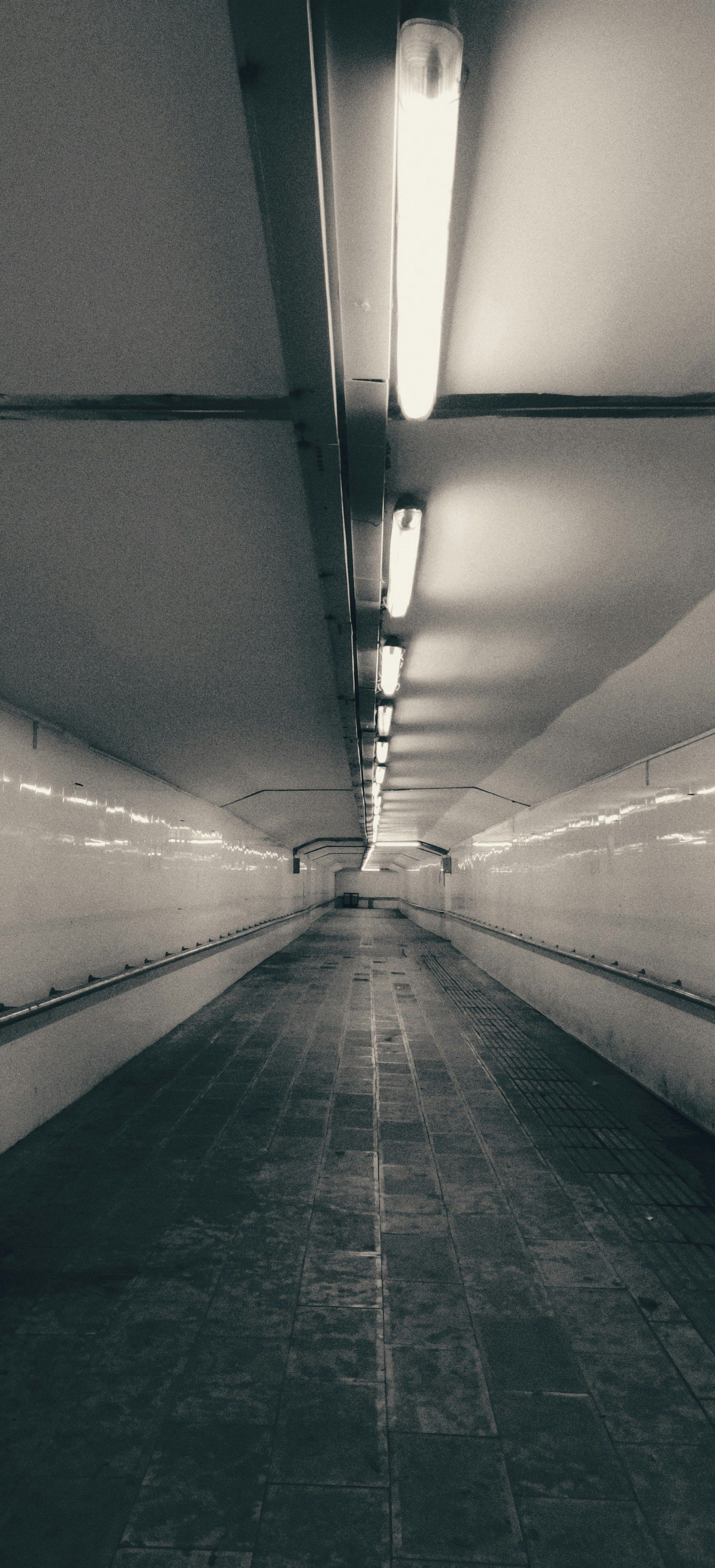 p zx (@pzx) | Communauté photos Unsplash