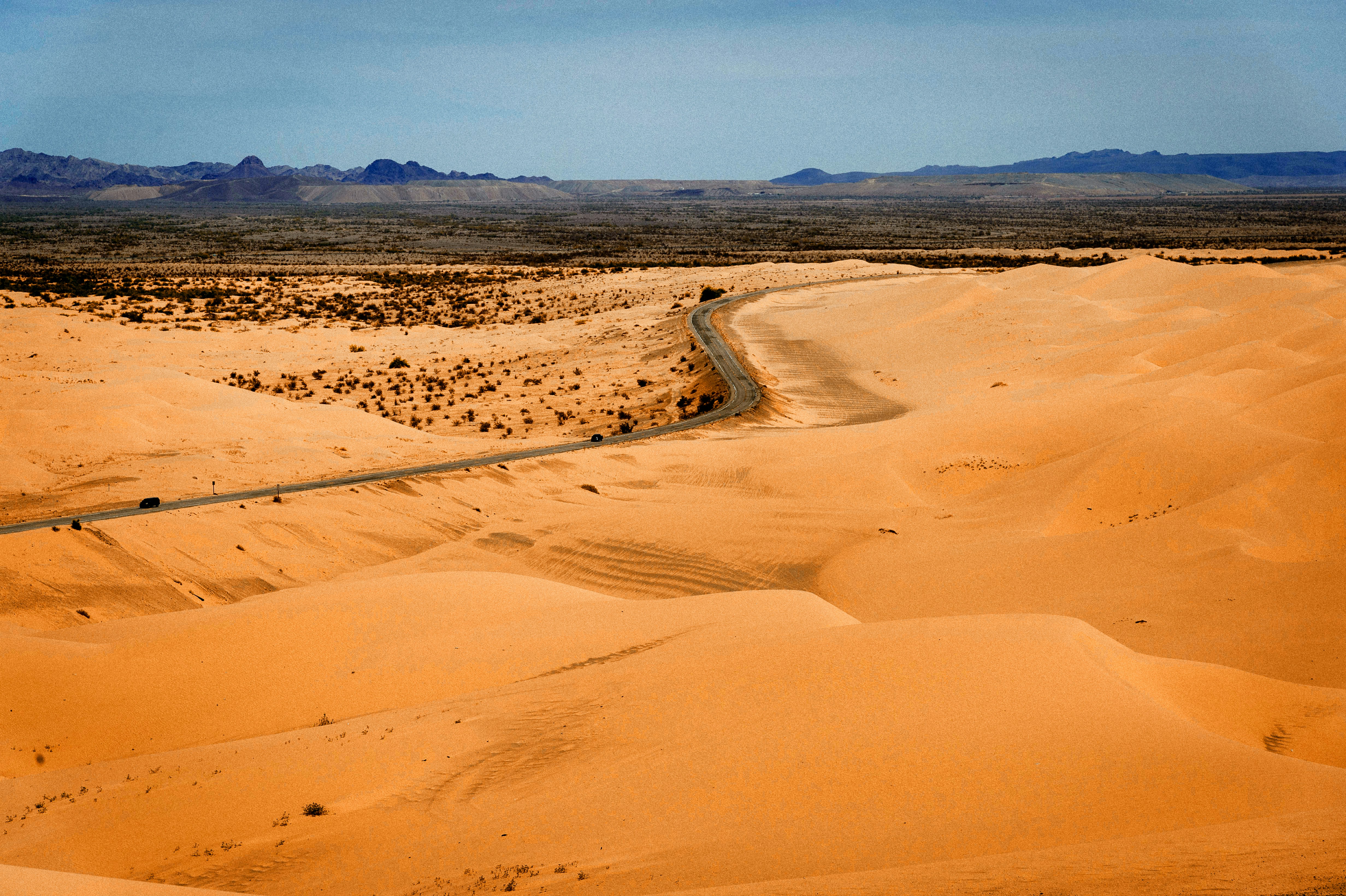 Amber Dunes and a Quiet Road: A Desert's Slow Meander