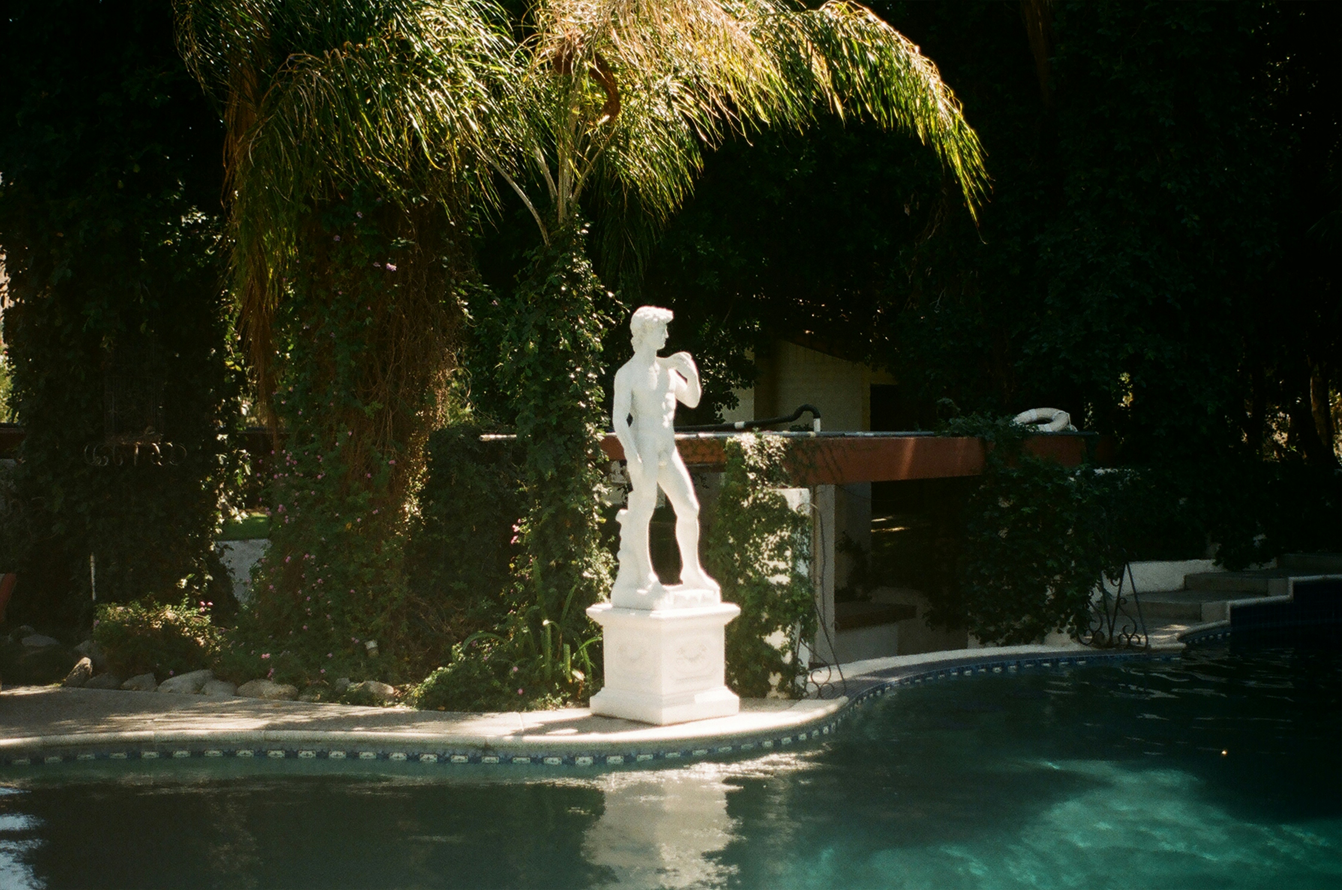 David statue near swimming pool photo – Free 35mm Image on Unsplash