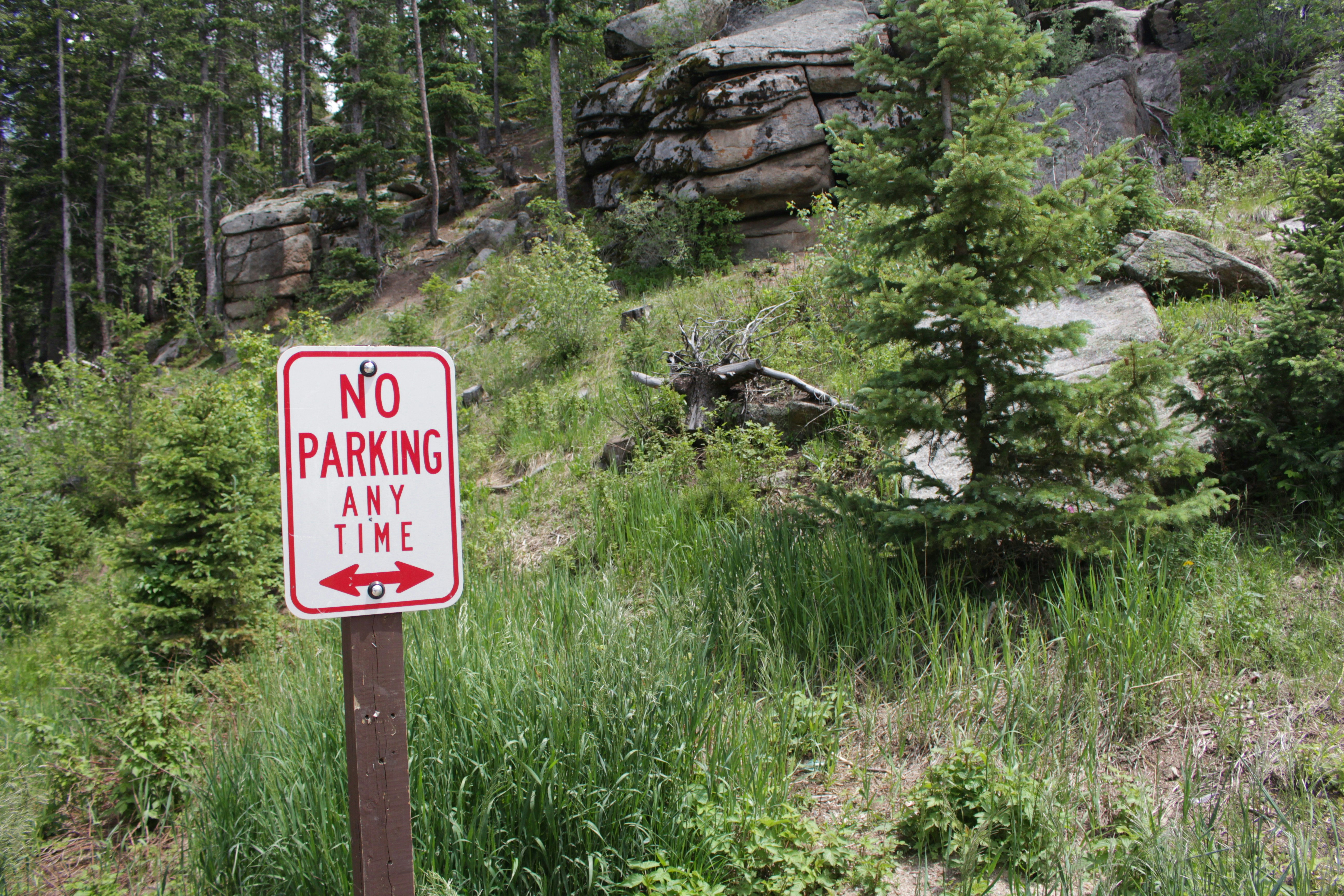 No Parking Any Time