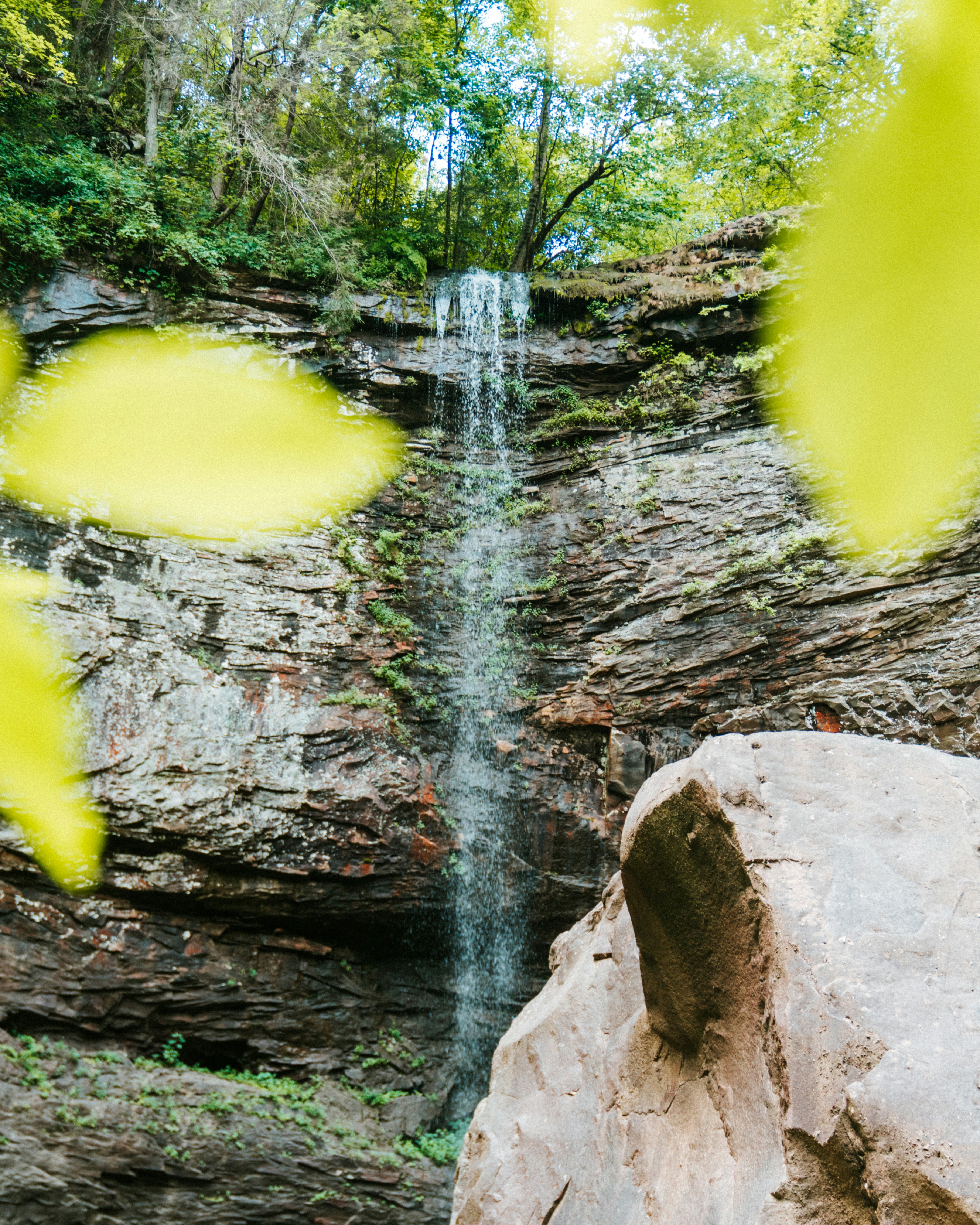 Verdant Gorge Cascade: A Narrow Fall Framed by Layered Rock