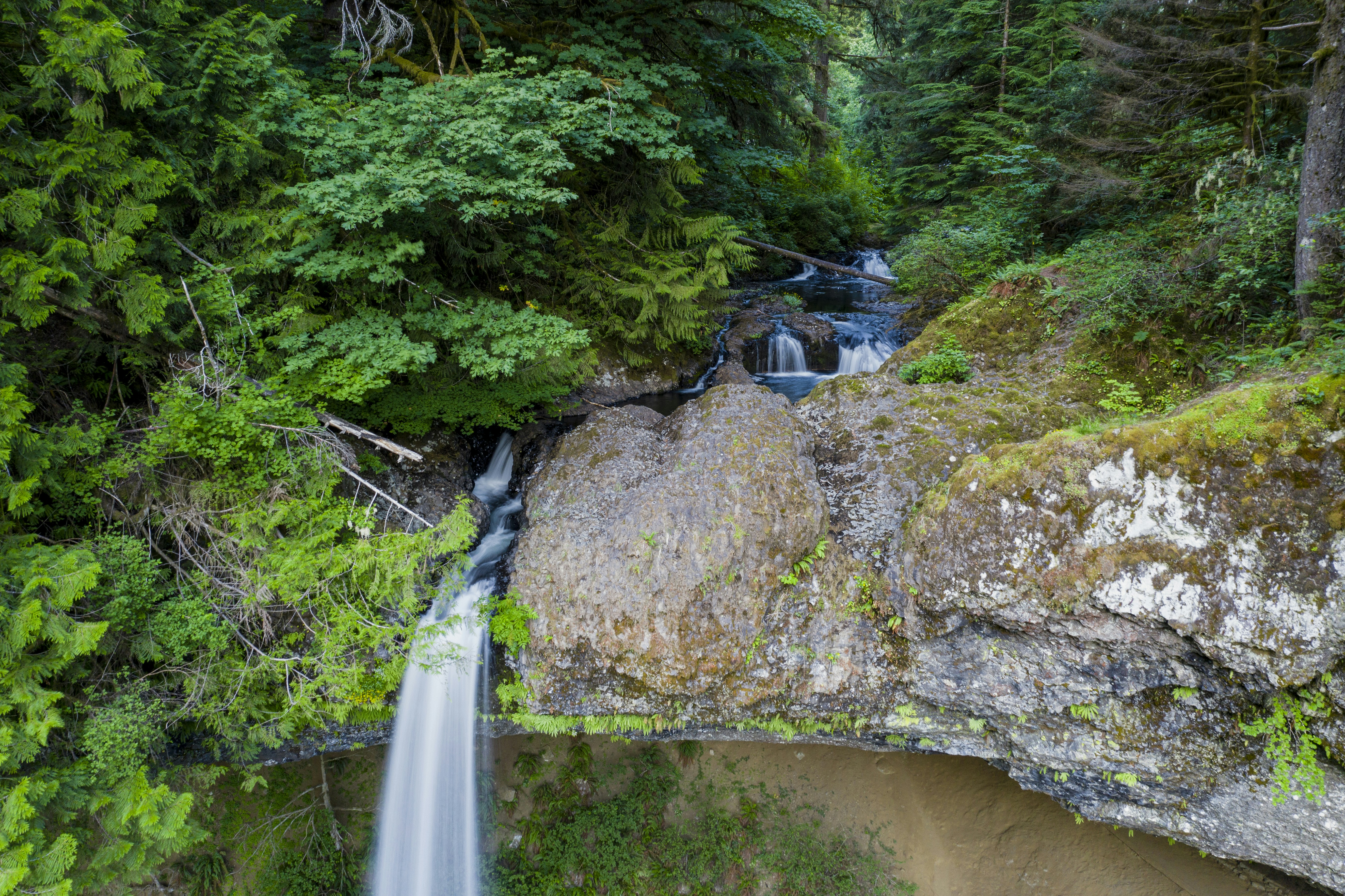 Mini waterfalls surrounded with tall and green trees photo – Free ...