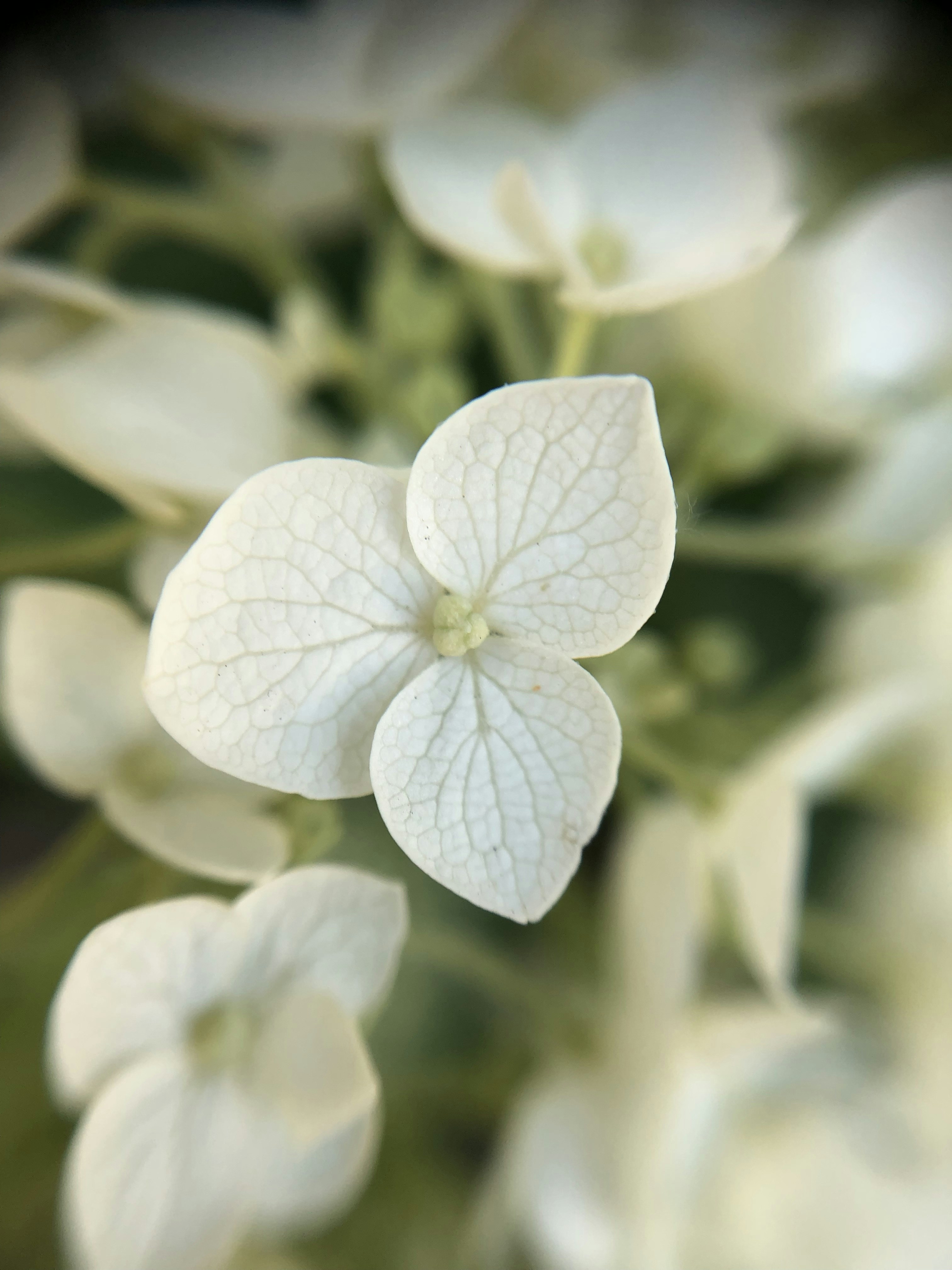 April Barber (@aprilbarberphotography) | Unsplash Photo Community