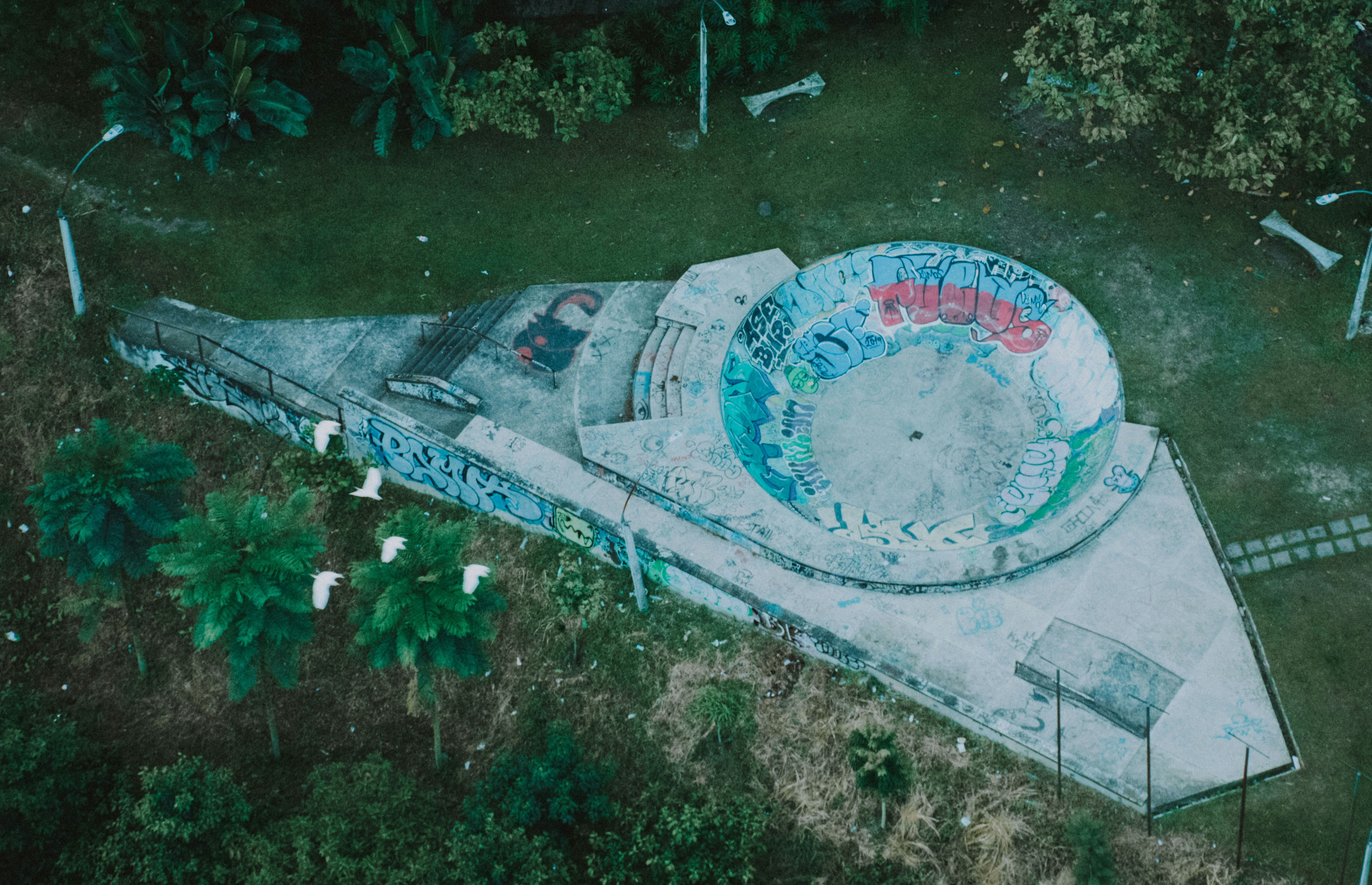 Abandoned skateboard ramp carved into a moonlit park