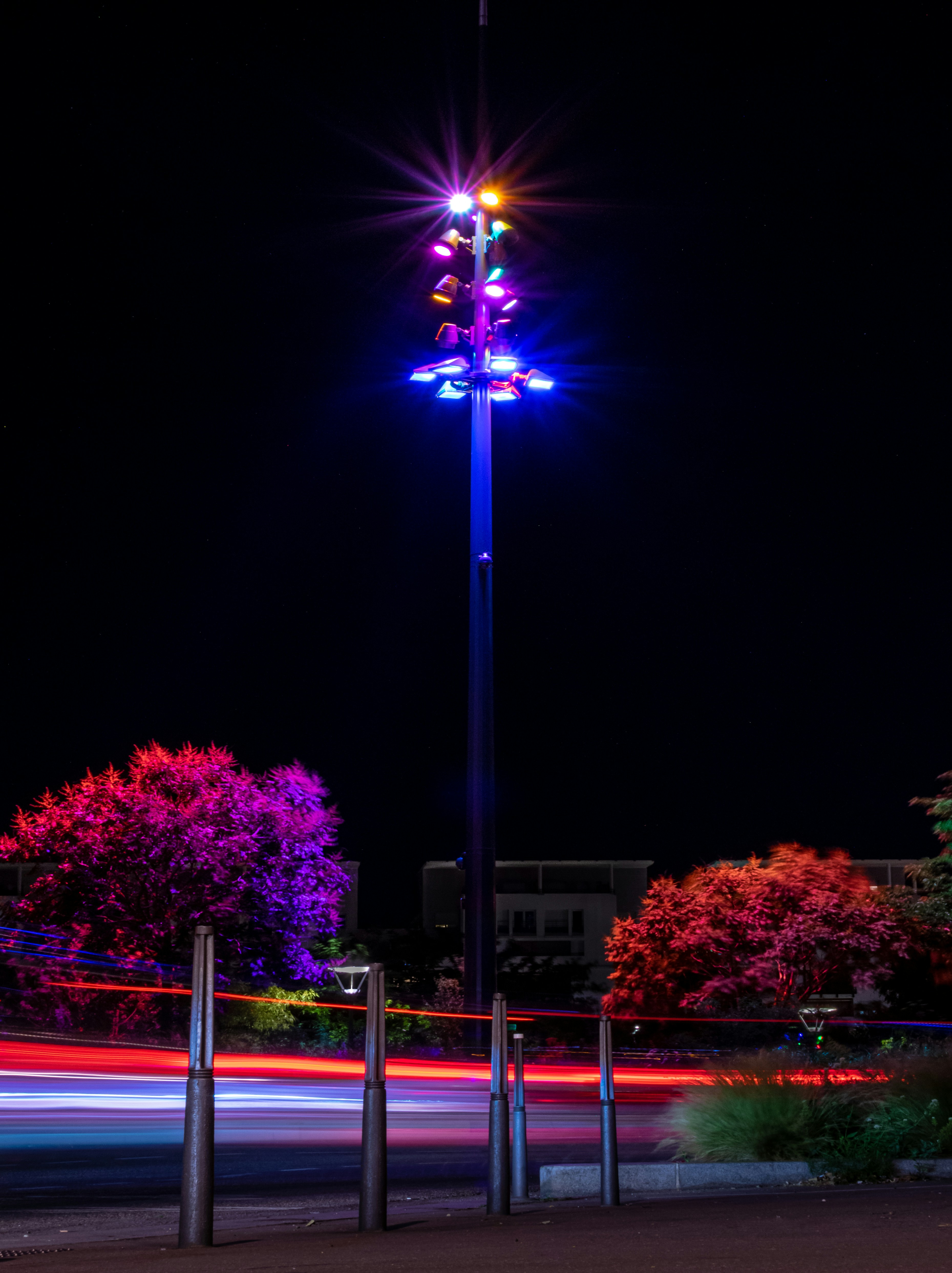 Chromatic Beacon Over a Velvet Night: Neon Streetlight and Light Trails