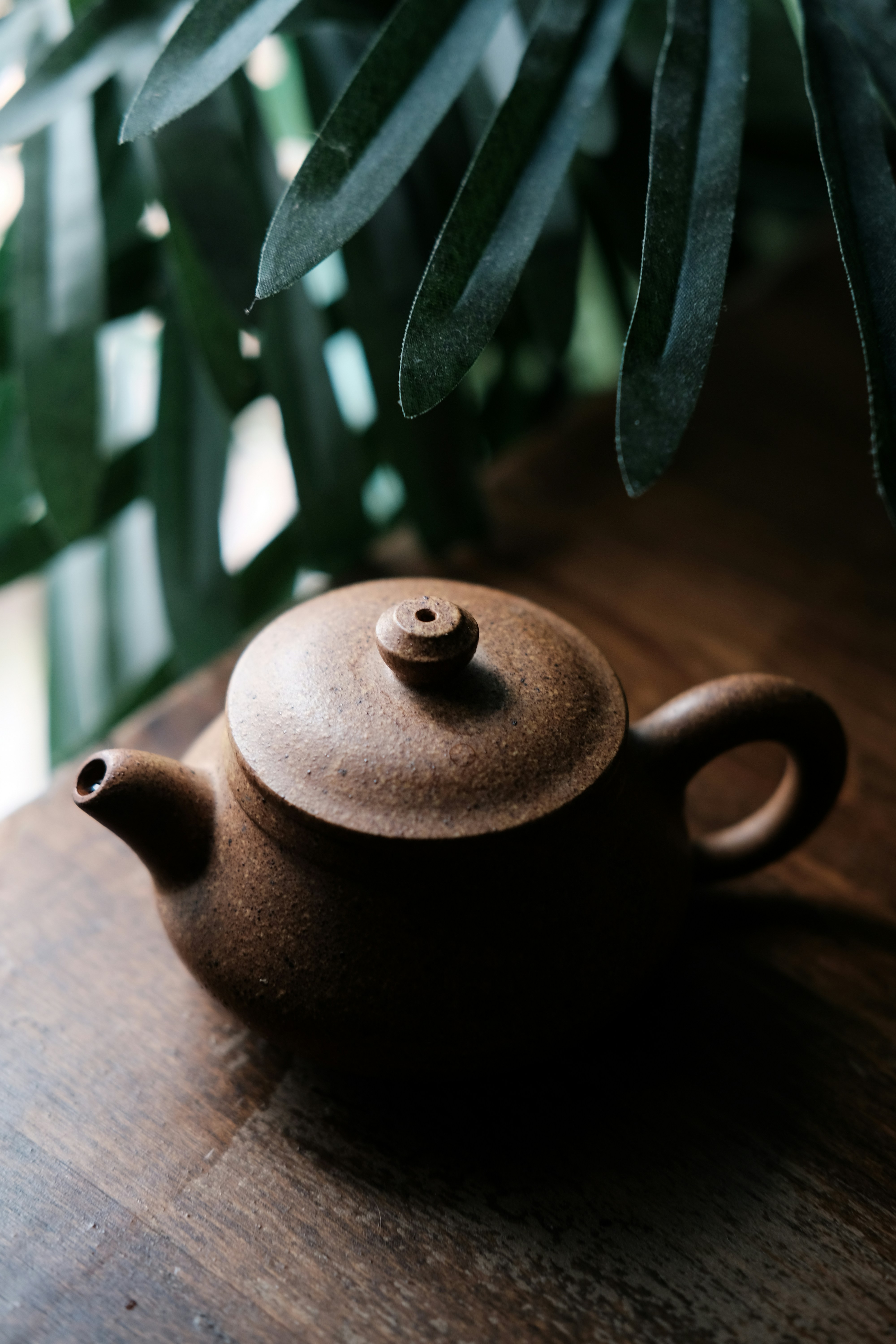 Artisan teapot crafted from natural materials, resting on a wooden surface, partially obscured by lush green leaves.
