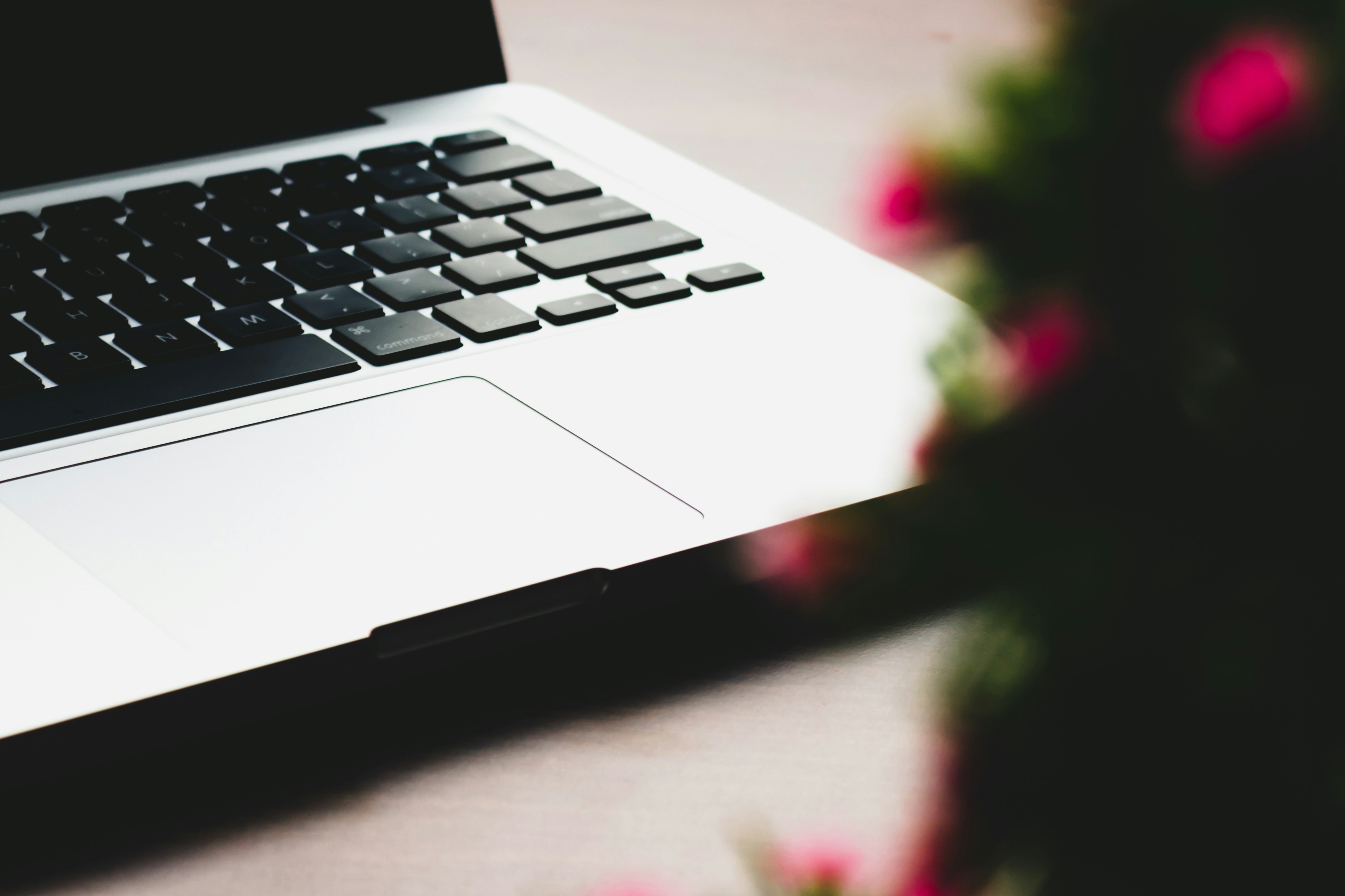 MacBook Pro near plant photo – Free Office Image on Unsplash