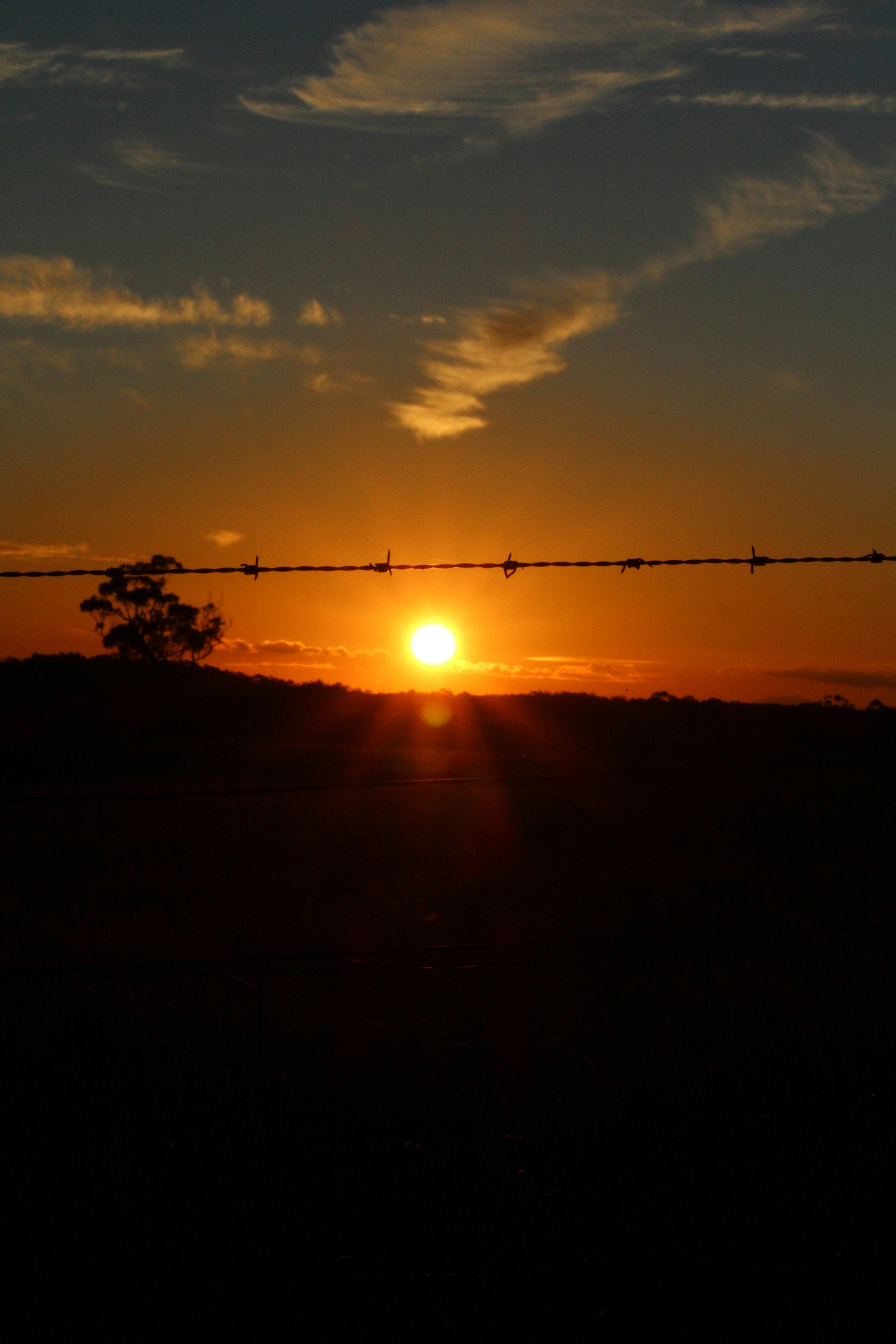 Dusk Horizon: The Sun Glows Along a Barbed Wire Silhouette