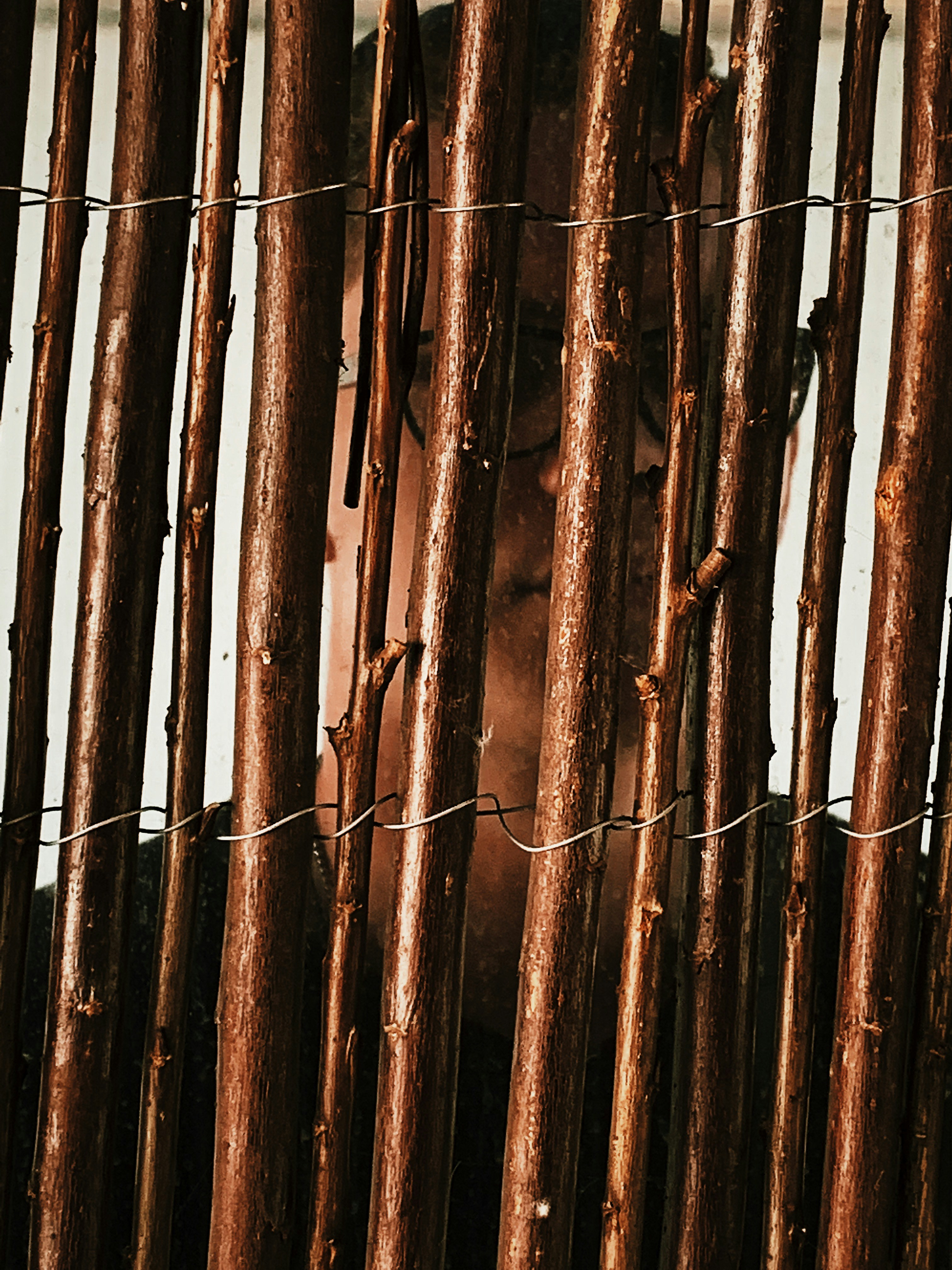 Man standing in front of brown wooden twig panel photo – Free Brown ...