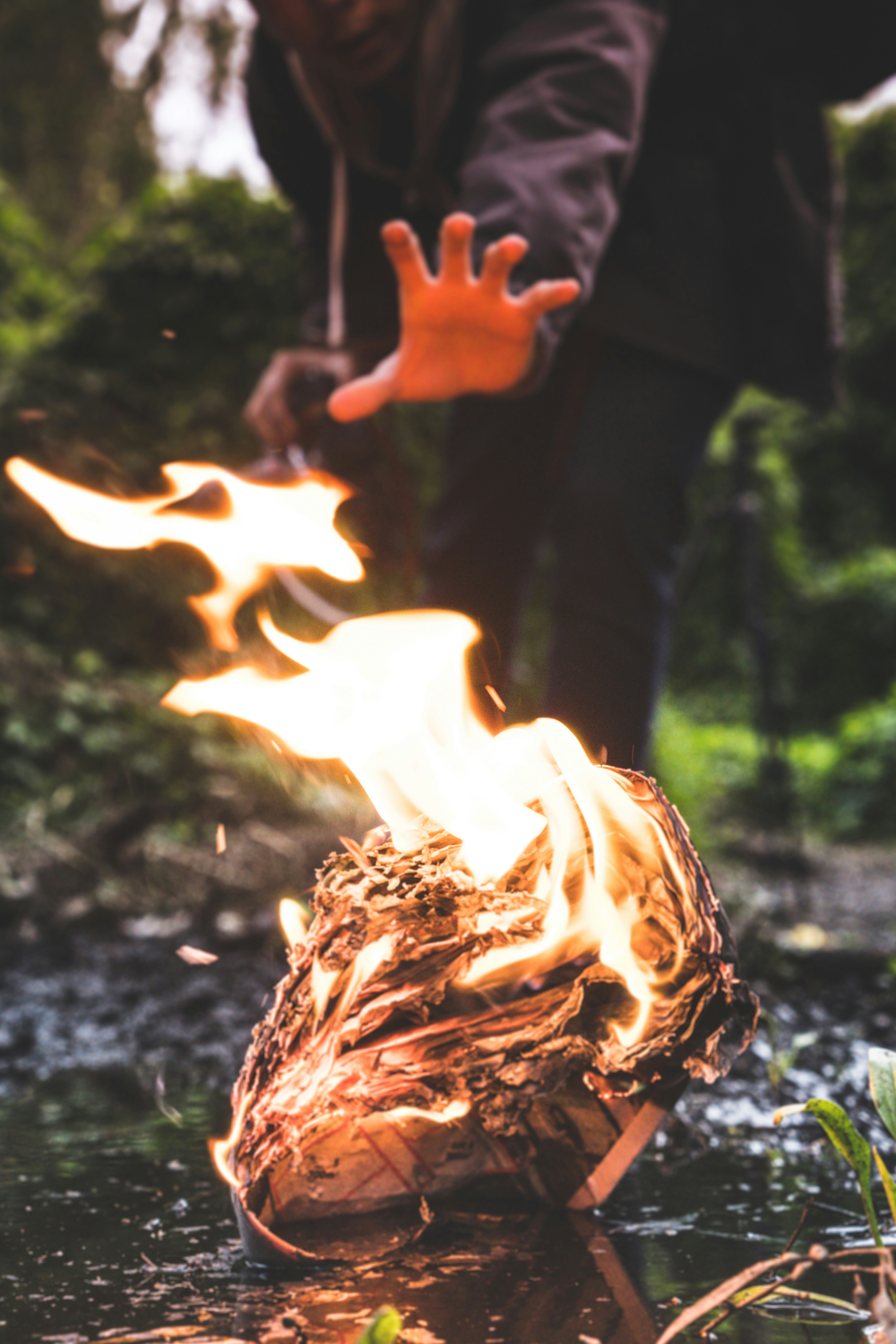 Person grabbing burning paper on body of water photo – Free Human Image ...