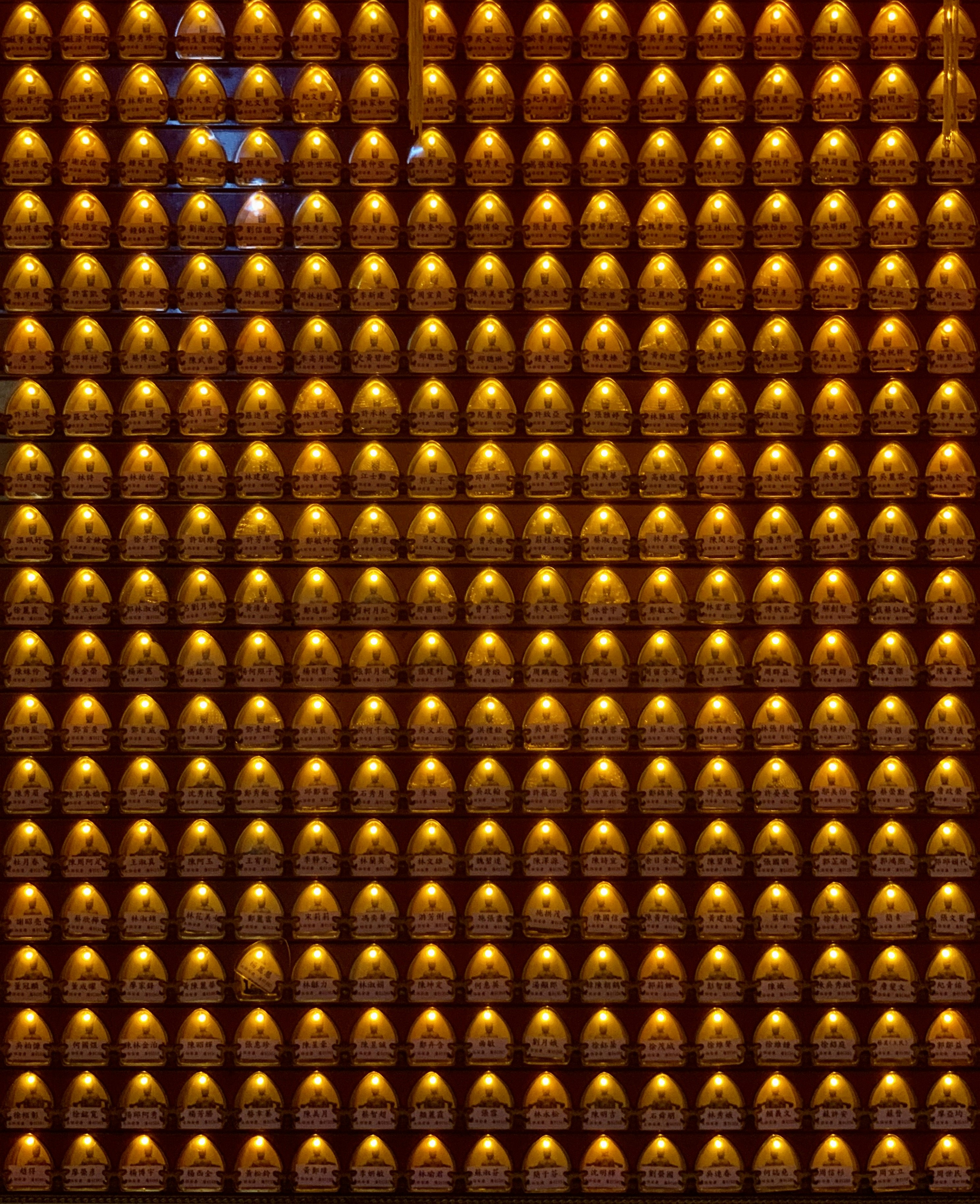 Infinite Rows of Gleaming Golden Domes