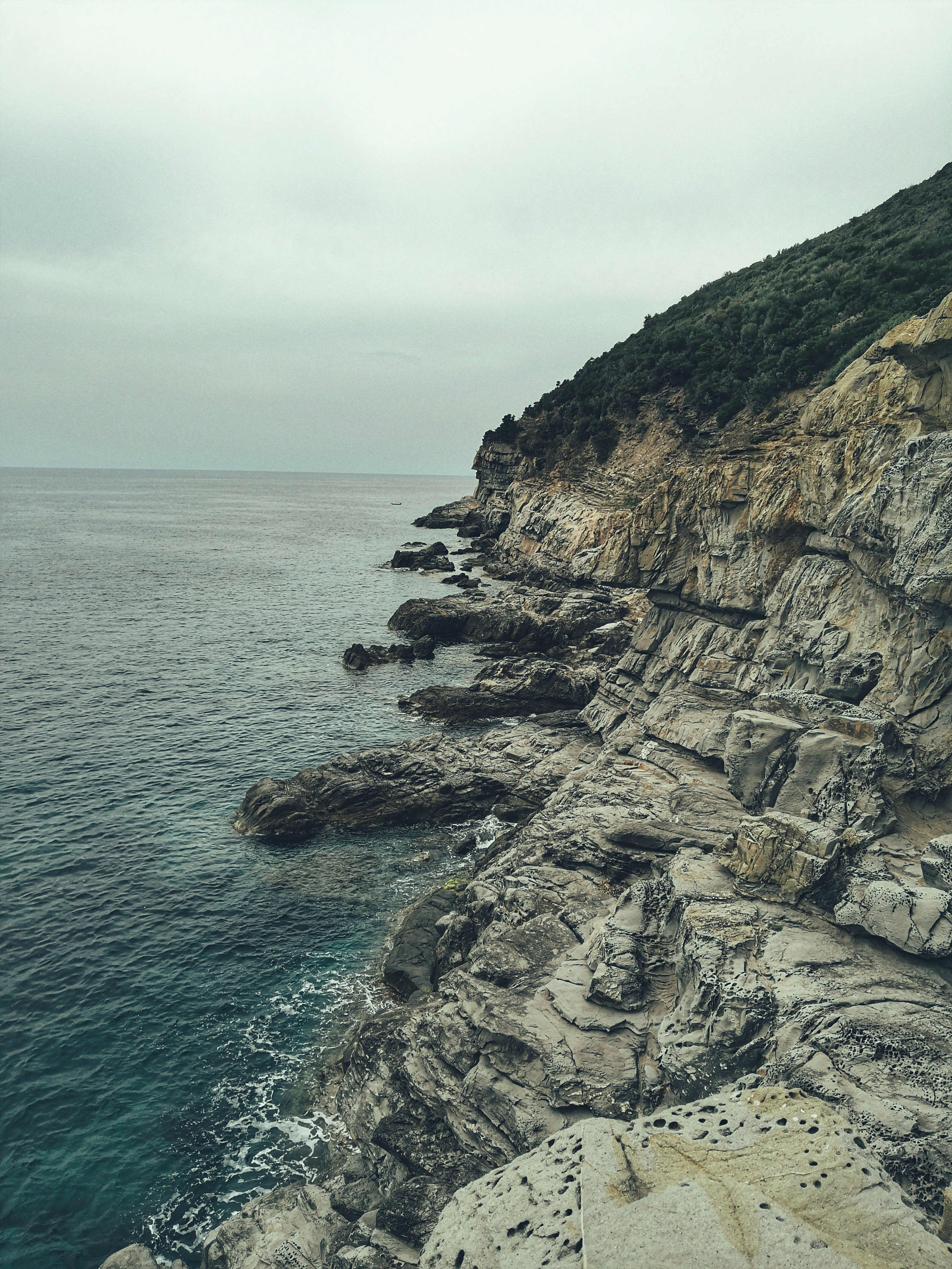 Rocky coastline with gentle waves lapping against the shore, framed by lush greenery and an overcast sky.