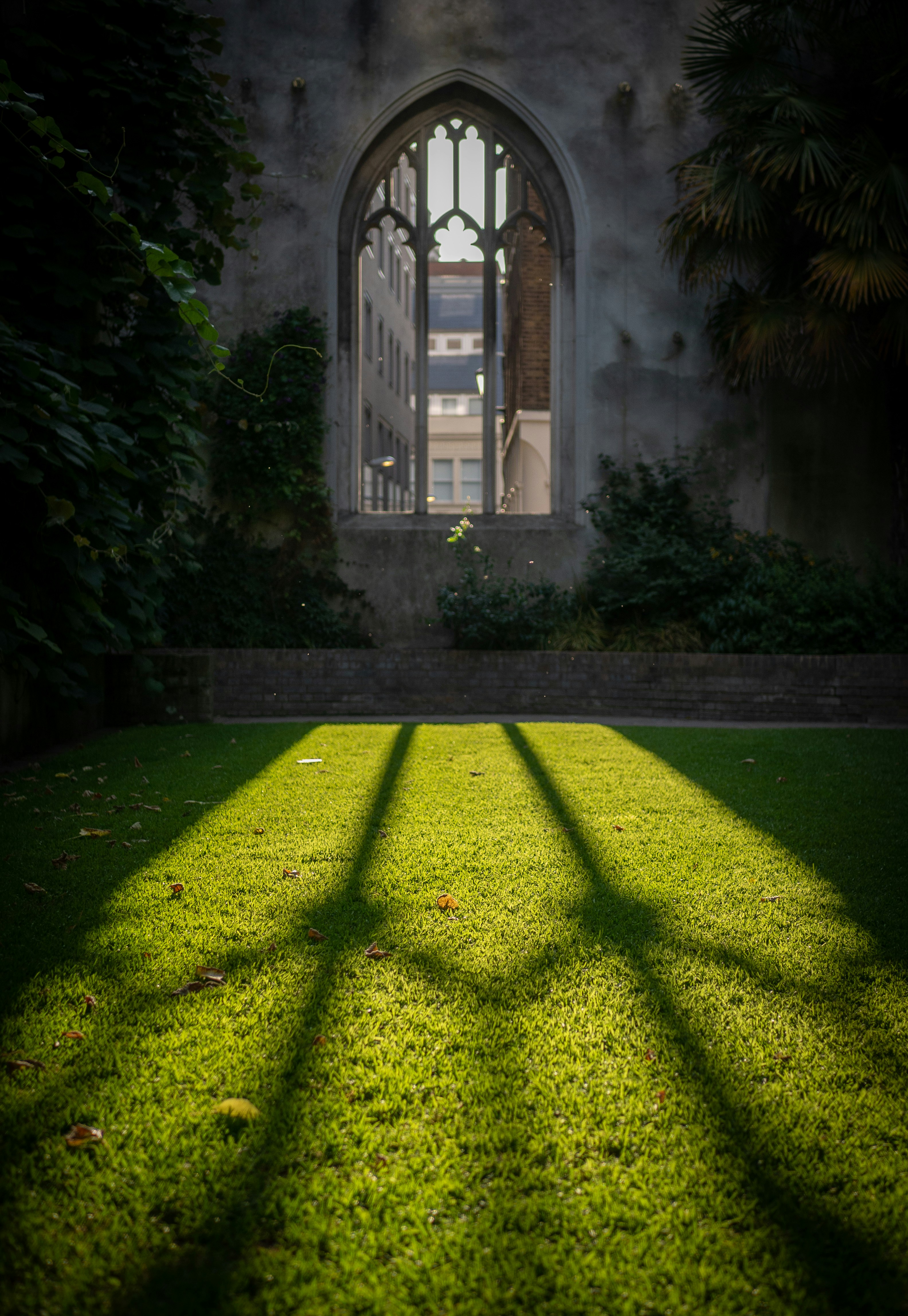 green grass near building photo – Free Window Image on Unsplash