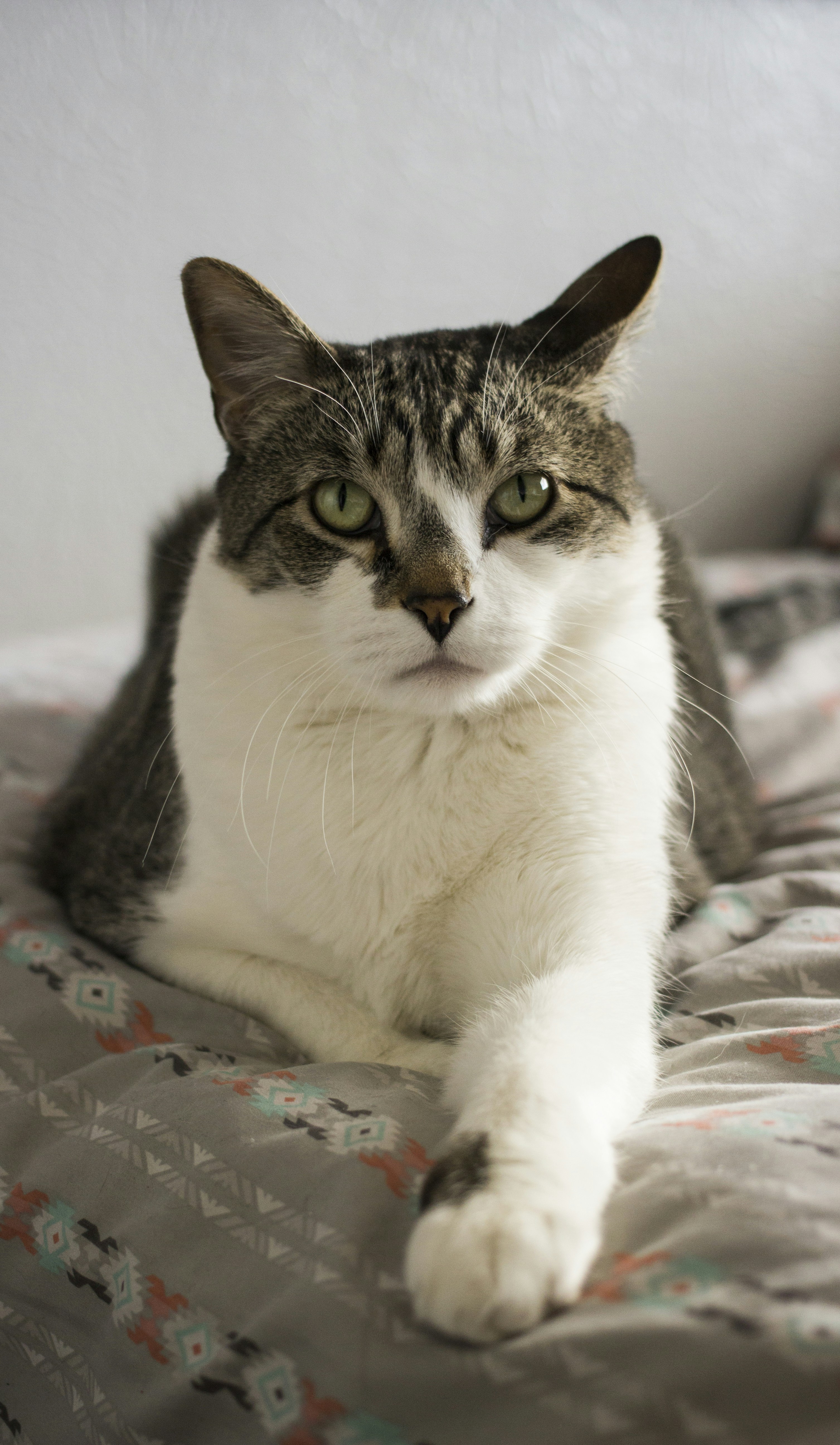 Jack Harner (@jackharner) | Unsplash Photo Community