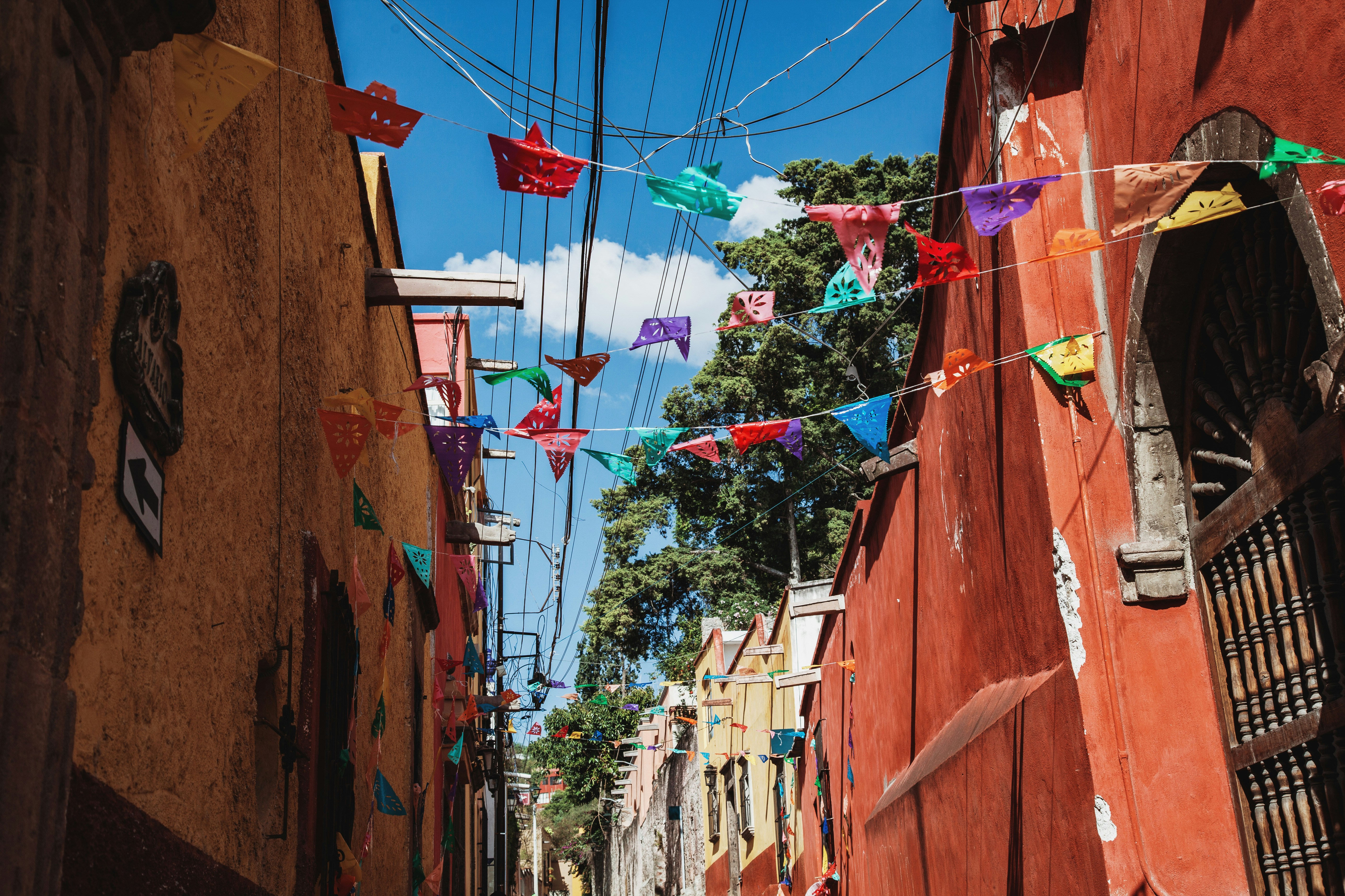 Assorted-color pennant flags in between concrete buildings photo – Free ...