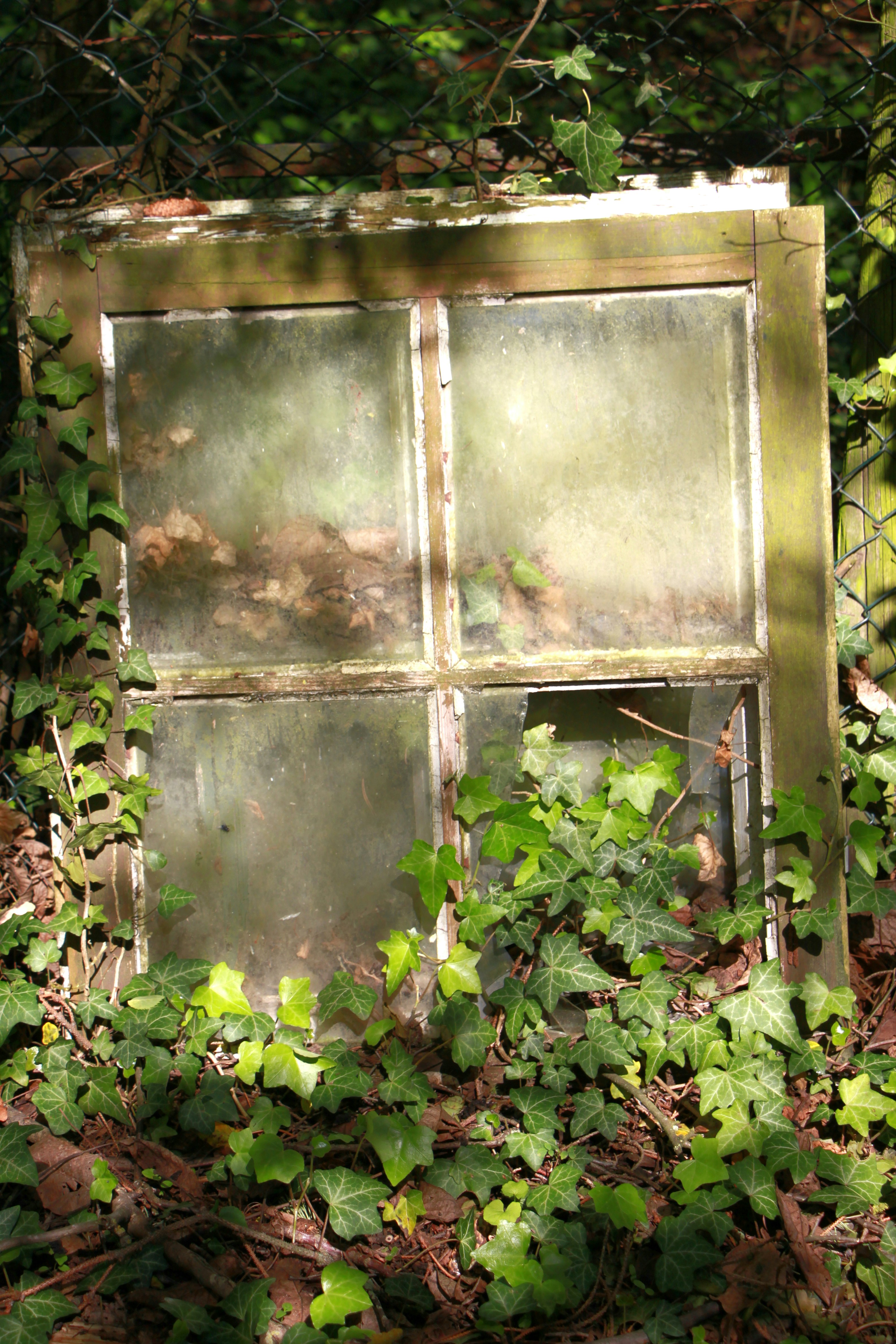 Found that old window in a garden during an art event.