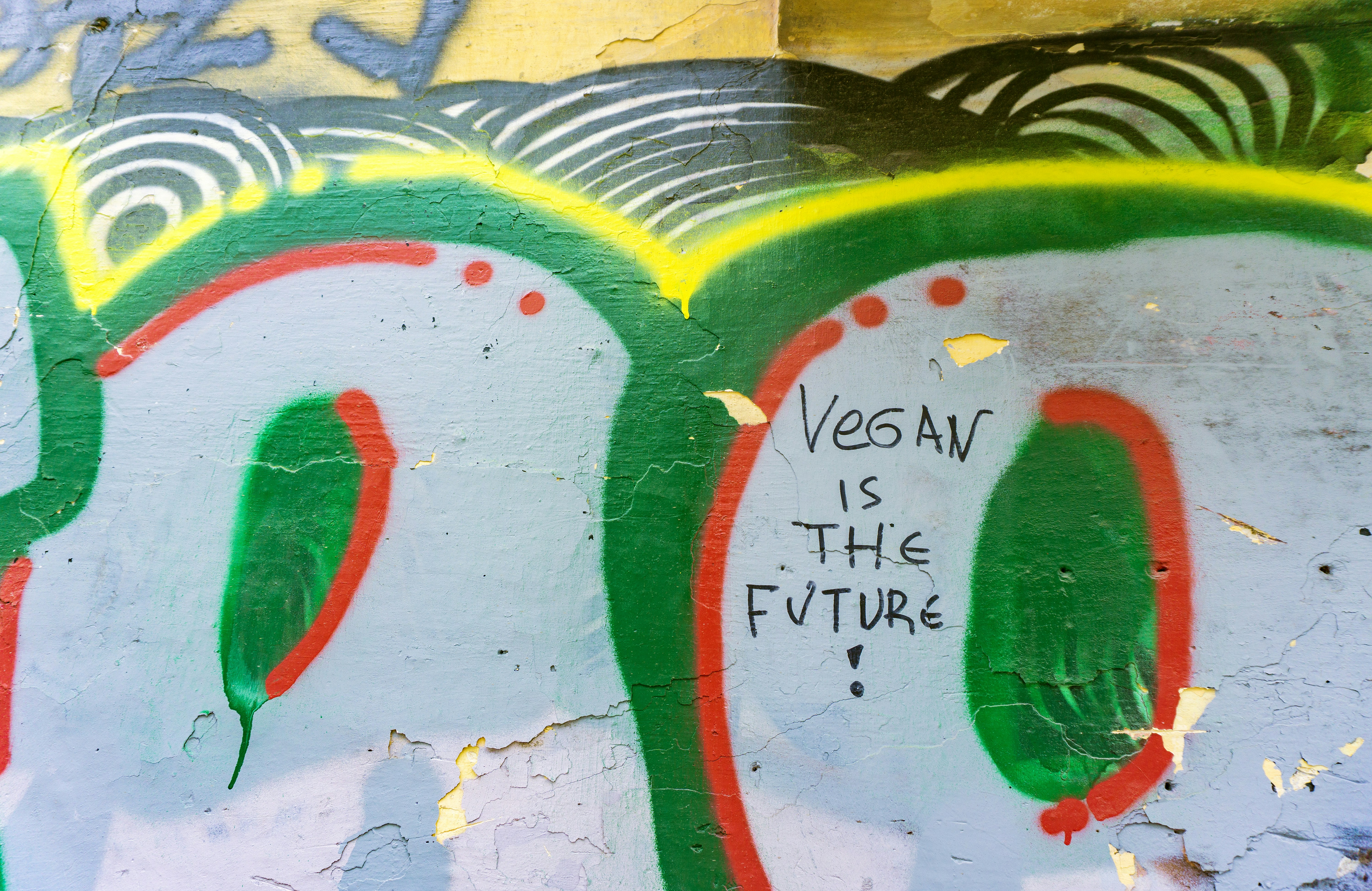 Vegan is the future nite on the wall, Athens, Greece.