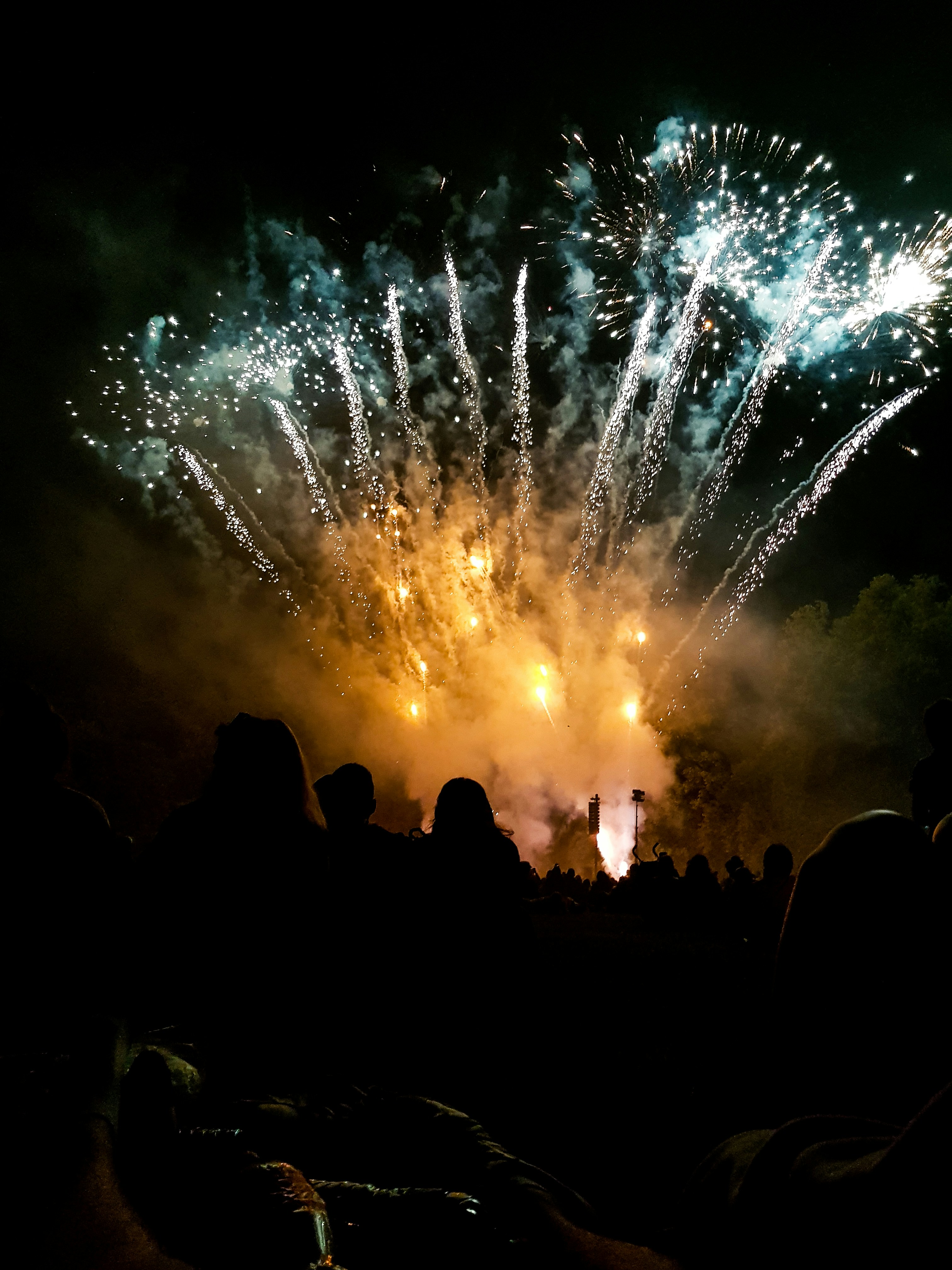 Fireworks Show Pictures | Download Free Images on Unsplash