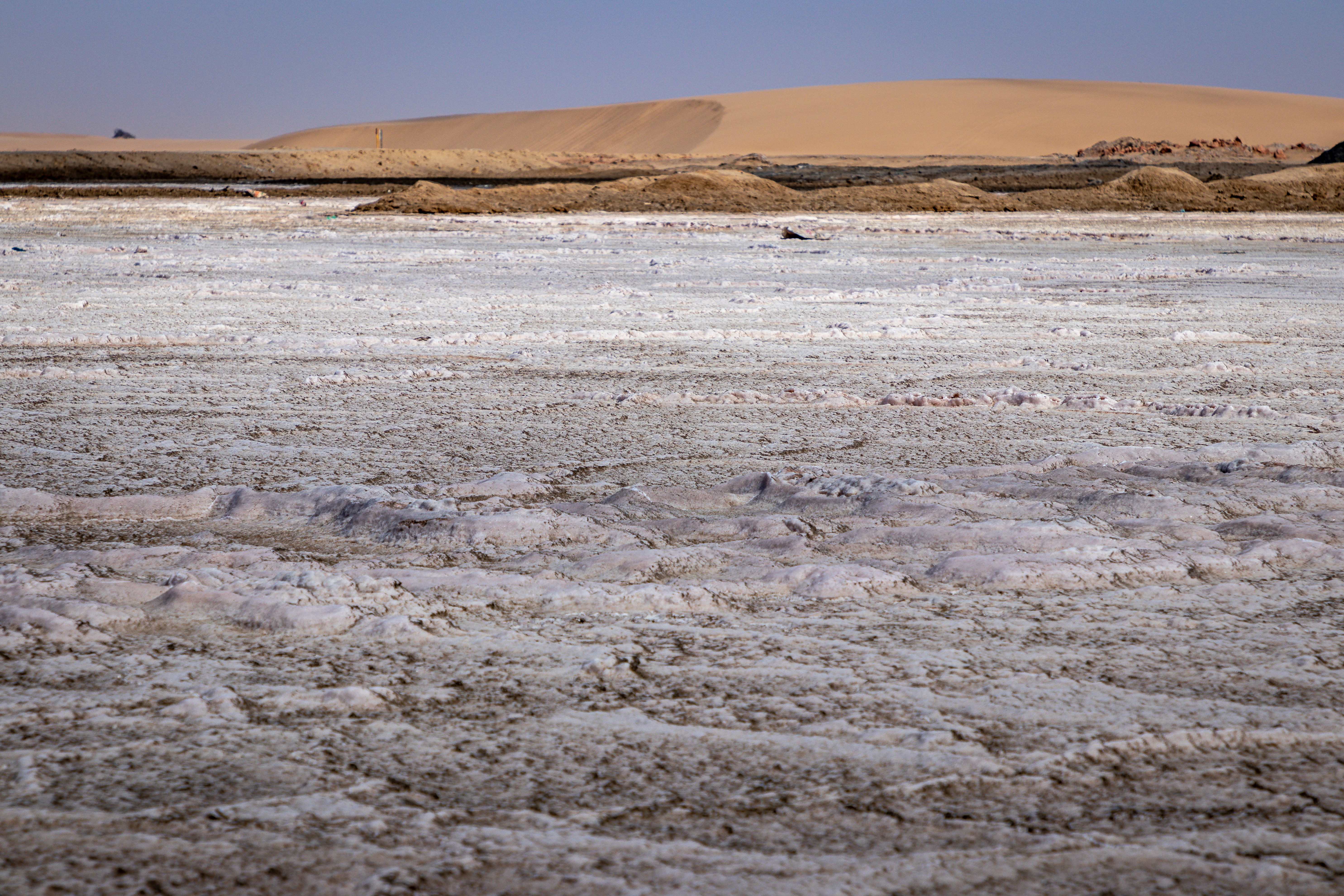 Salt Crust Geometry at the Dune Horizon
