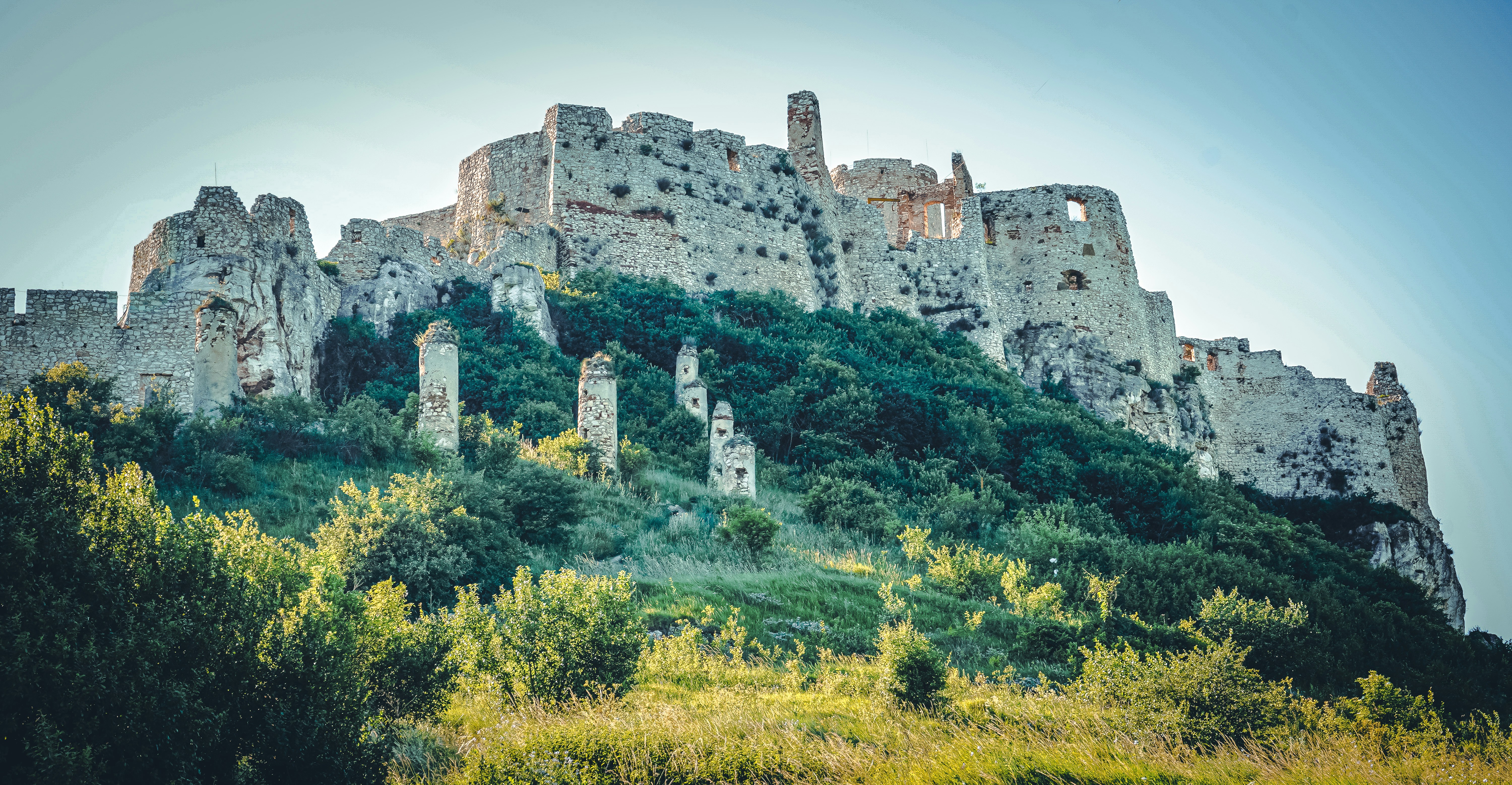 Castle near forest photo – Free Grey Image on Unsplash