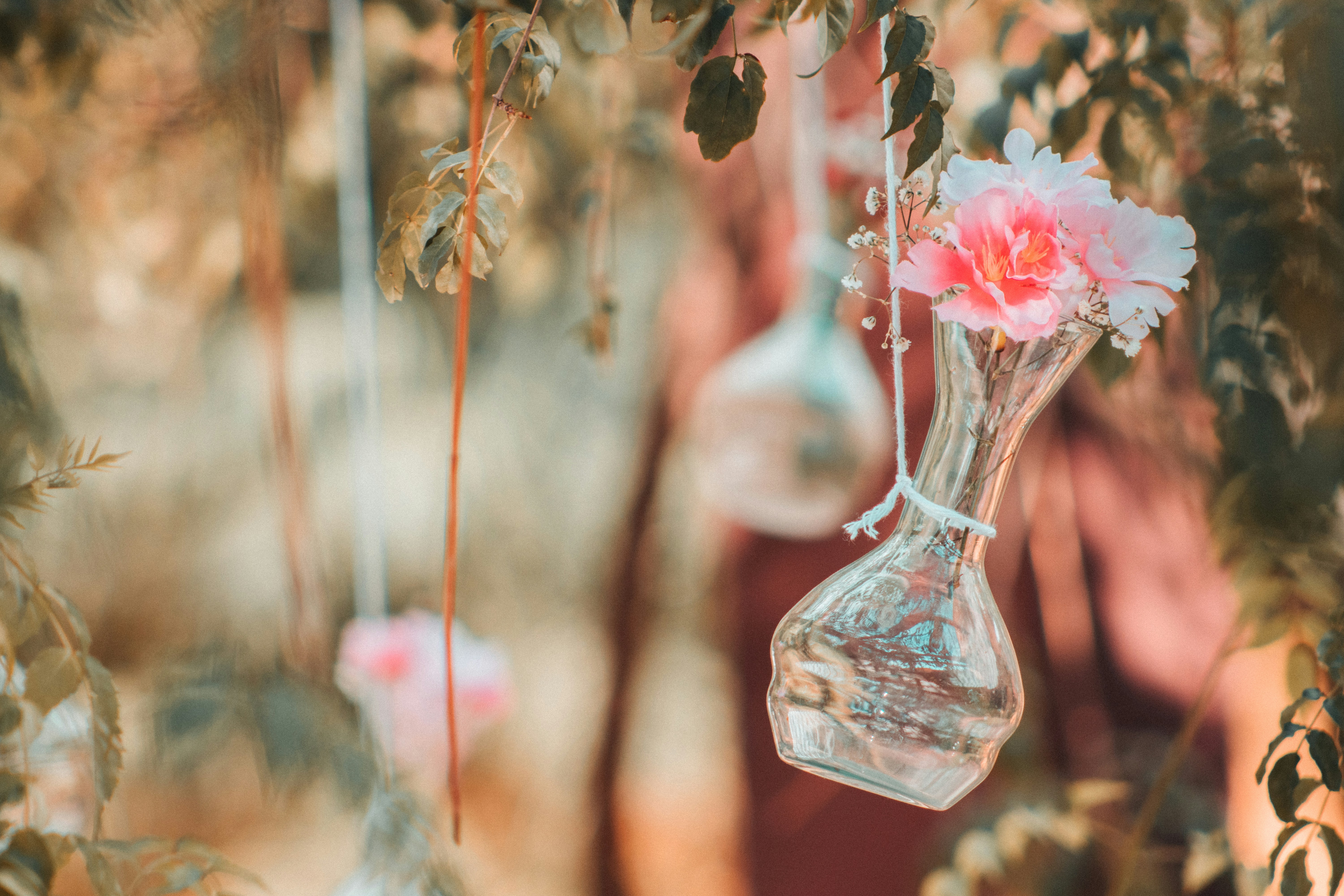Floating Blooms in a Garden Corner