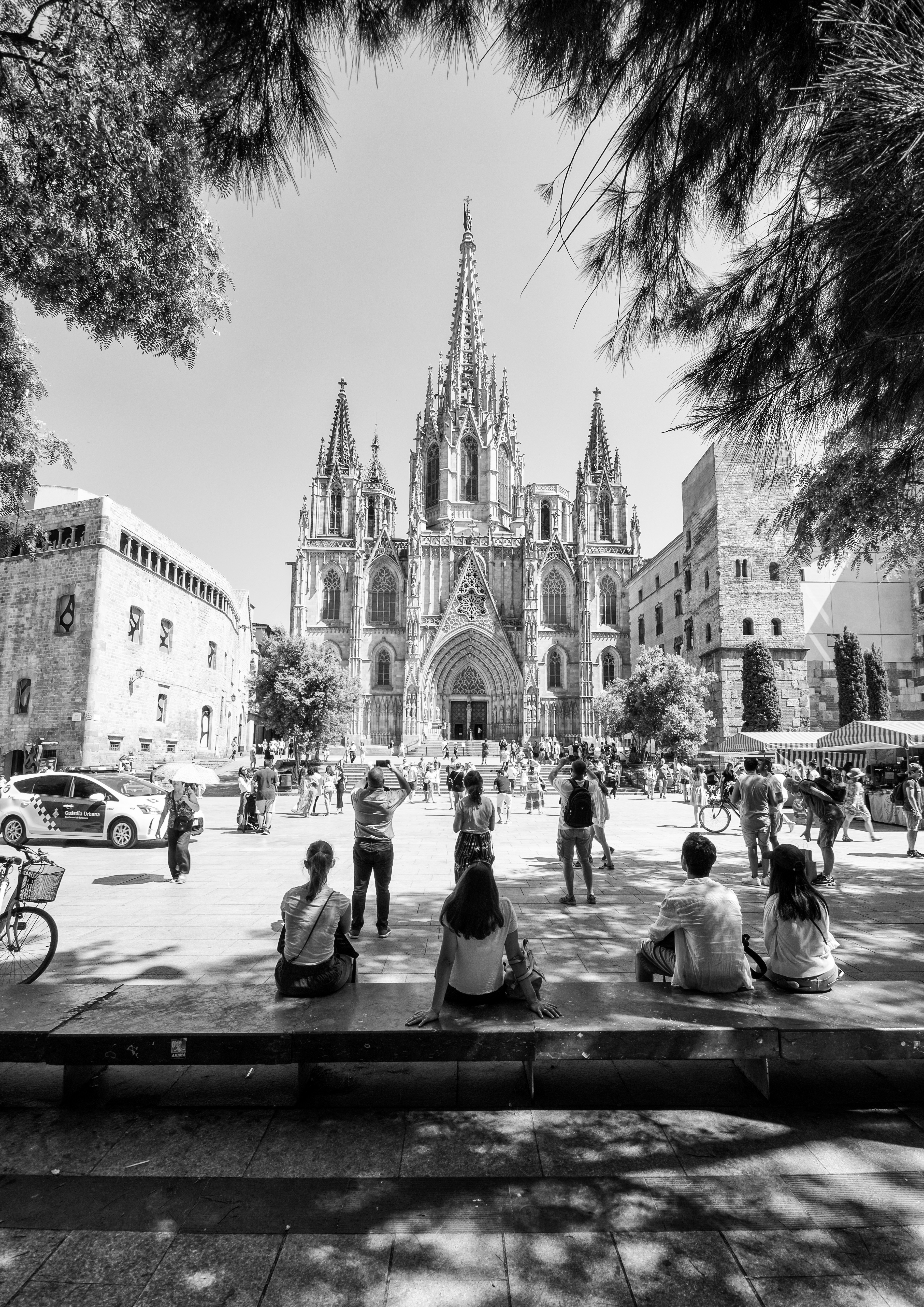 St. Patrick's Cathedral in Siena: People Gather at the Steps Under Shadowed Trees