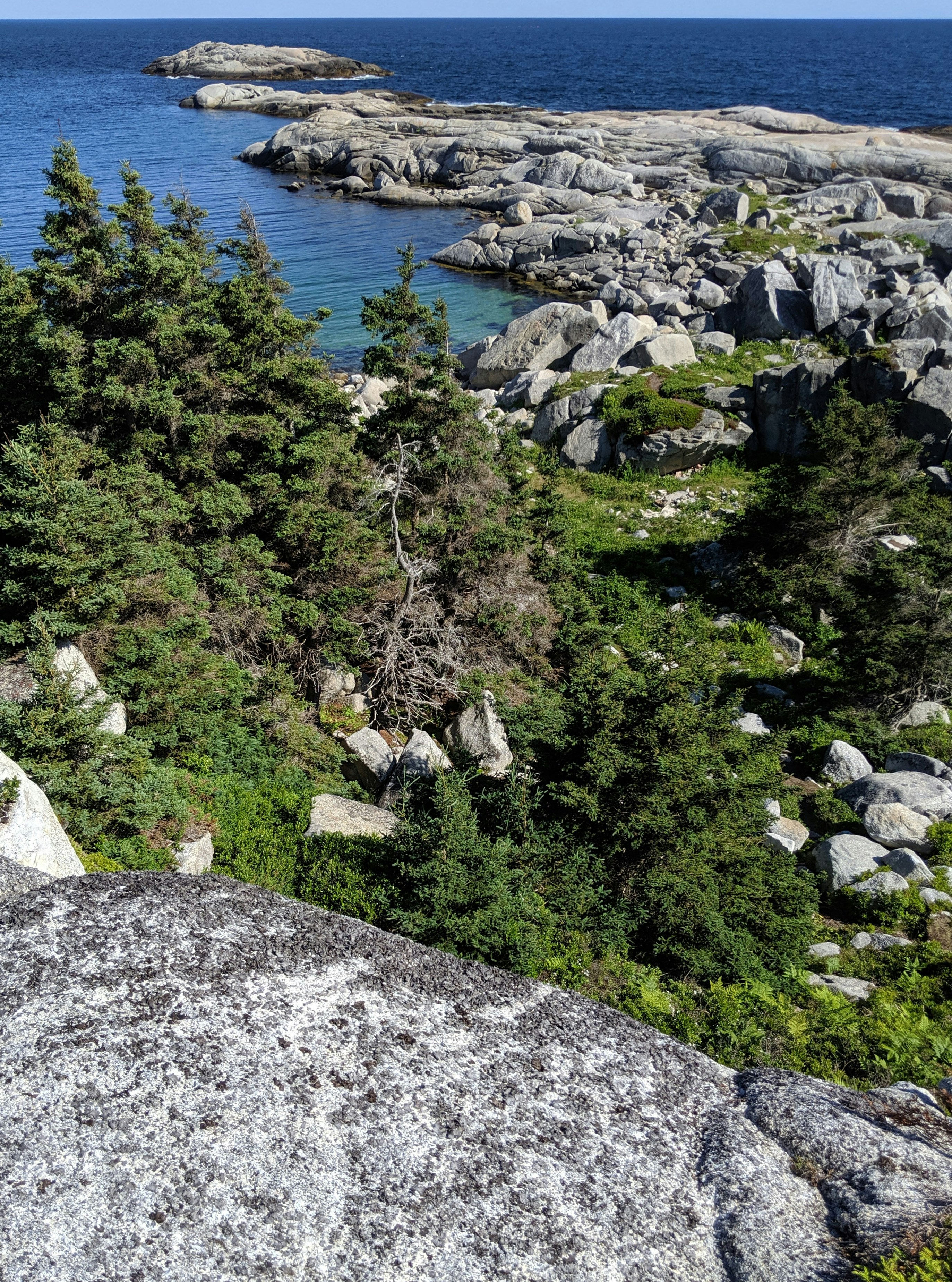 Edge of Granite: trees cling to a coastal rockscape