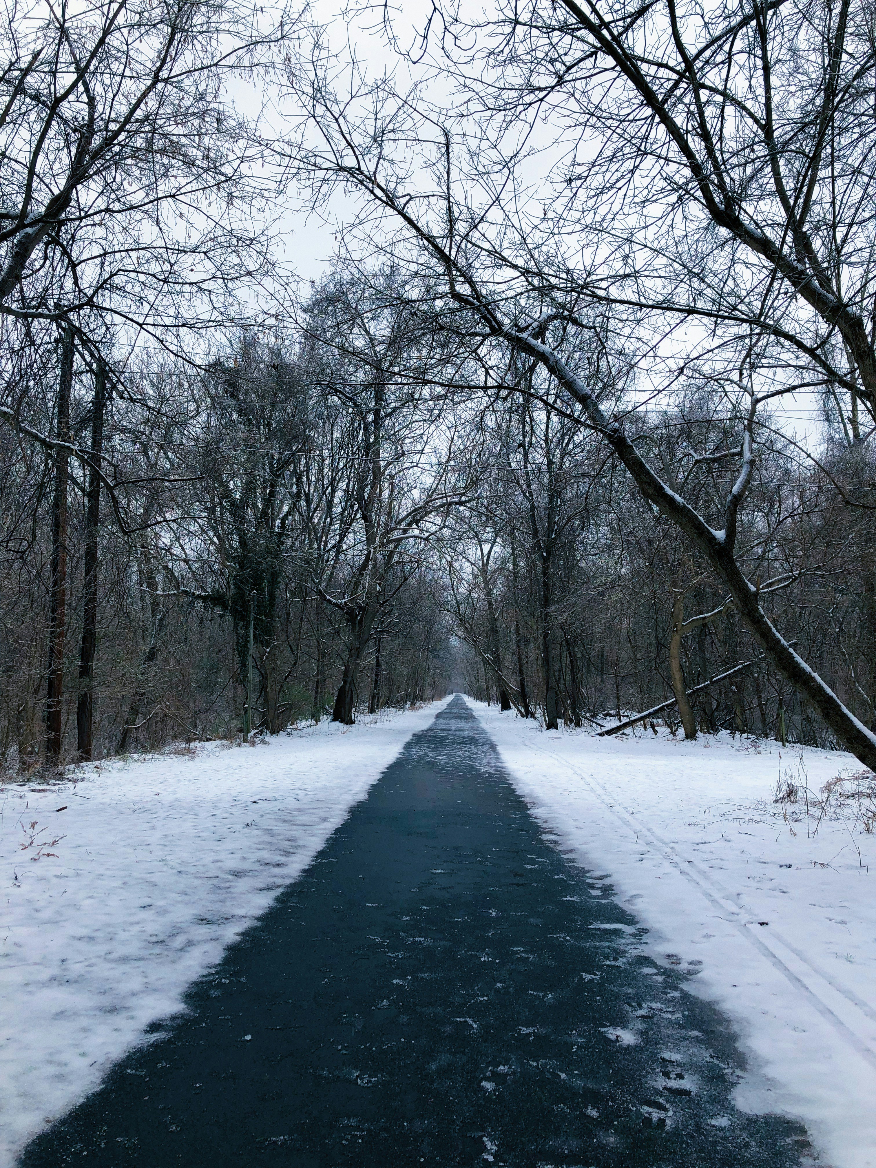 ashleigh gyatt (@aegyatt) | Komunitas Foto Unsplash